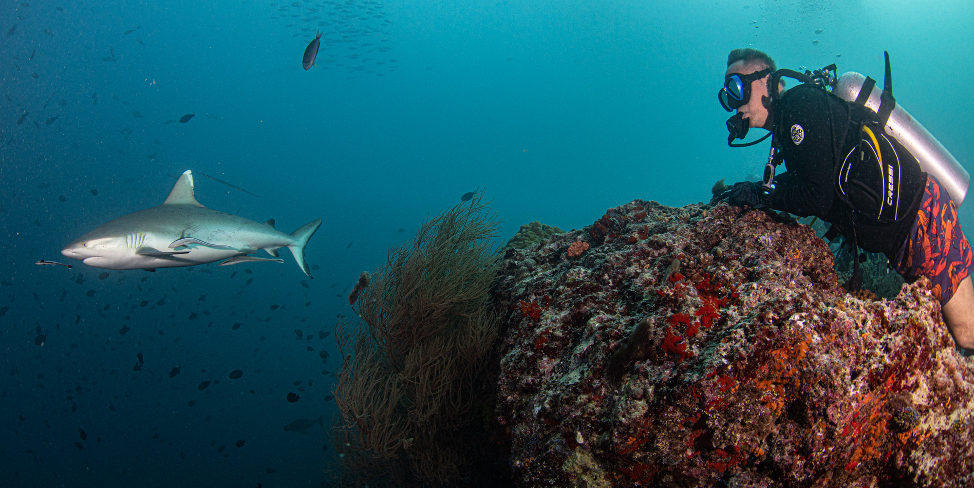 Maldives Aggressor II | Adventure Logs