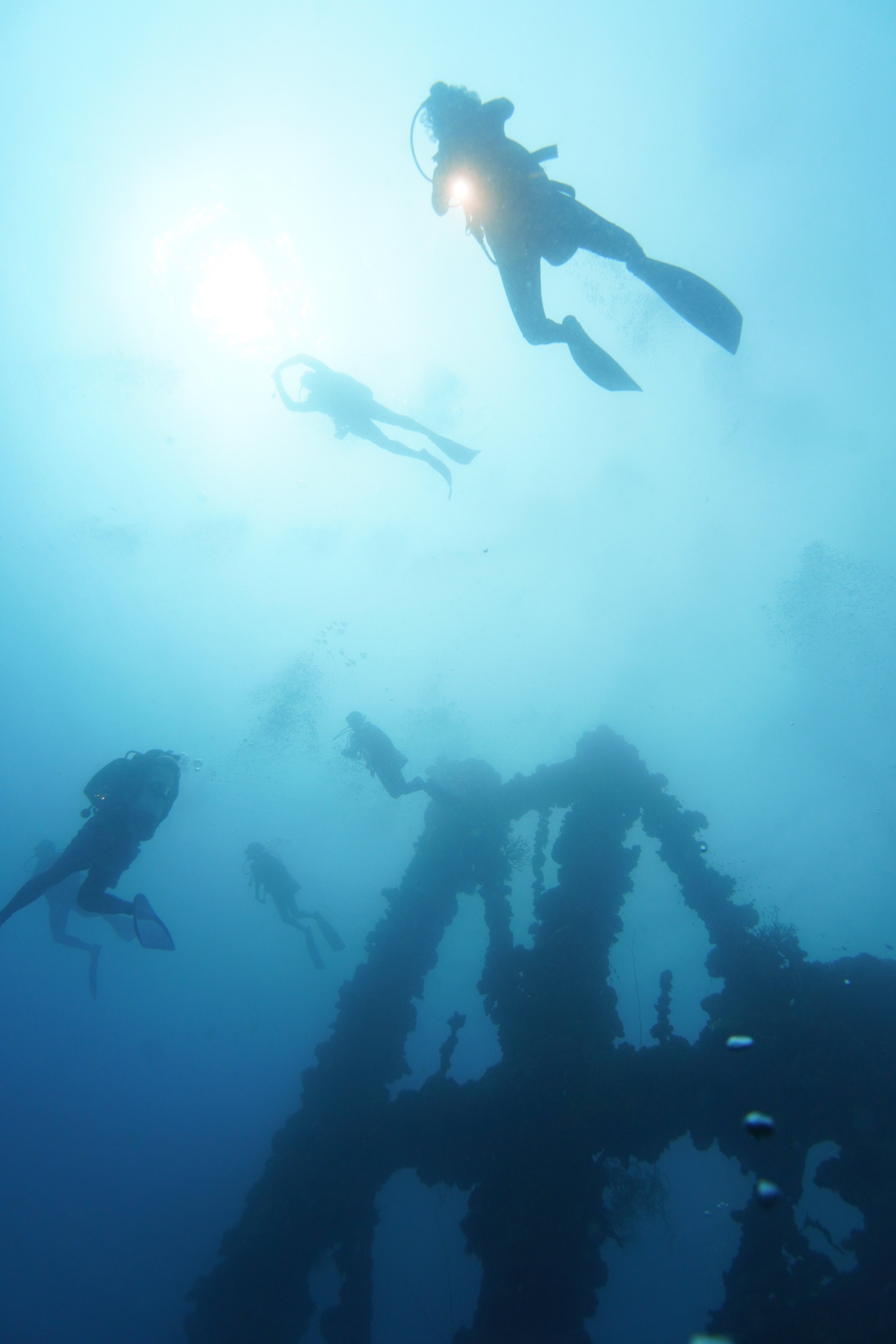 Palau Aggressor II | Adventure Logs