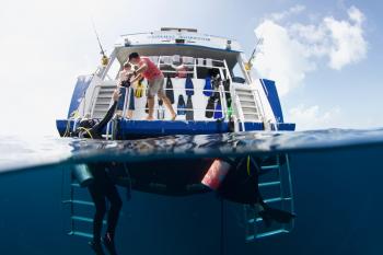 Turks & Caicos Aggressor II | Adventure Logs