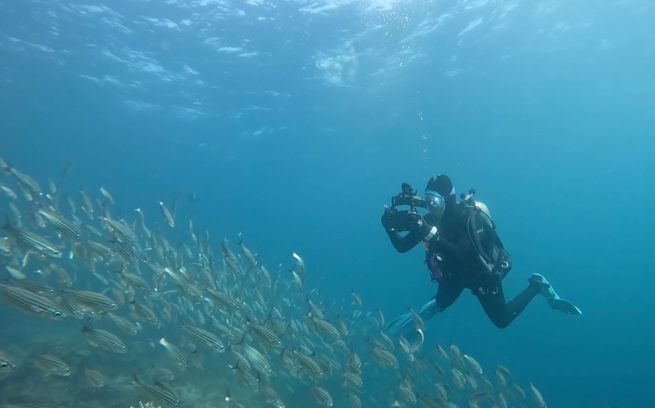 Galapagos Aggressor III | Adventure Logs