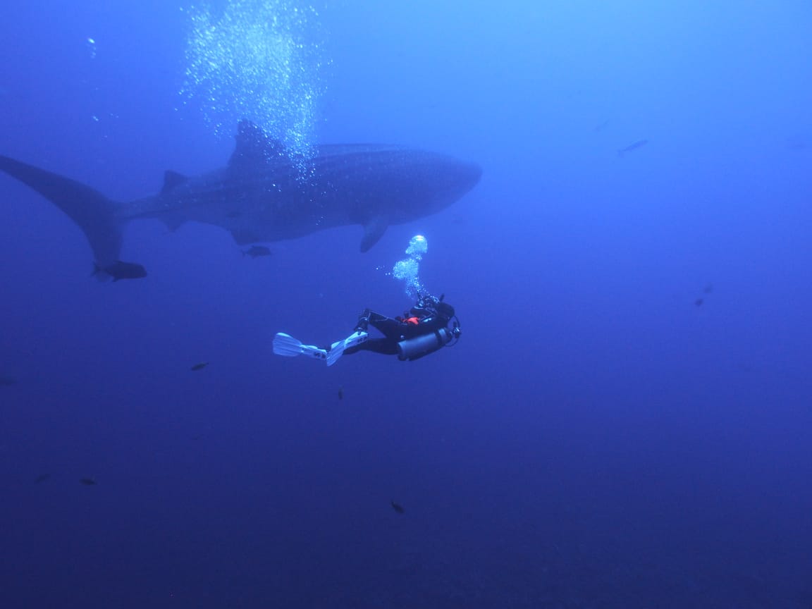 Socorro Aggressor | Adventure Logs