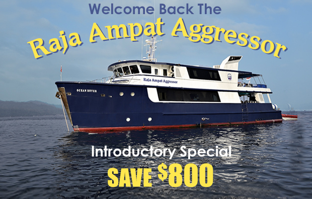 Aggressor Adventures® | Aggressor® Liveaboards, Safaris & River Cruises