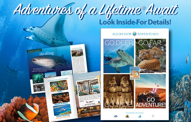 Aggressor Adventures® | Aggressor® Liveaboards, Safaris & River Cruises