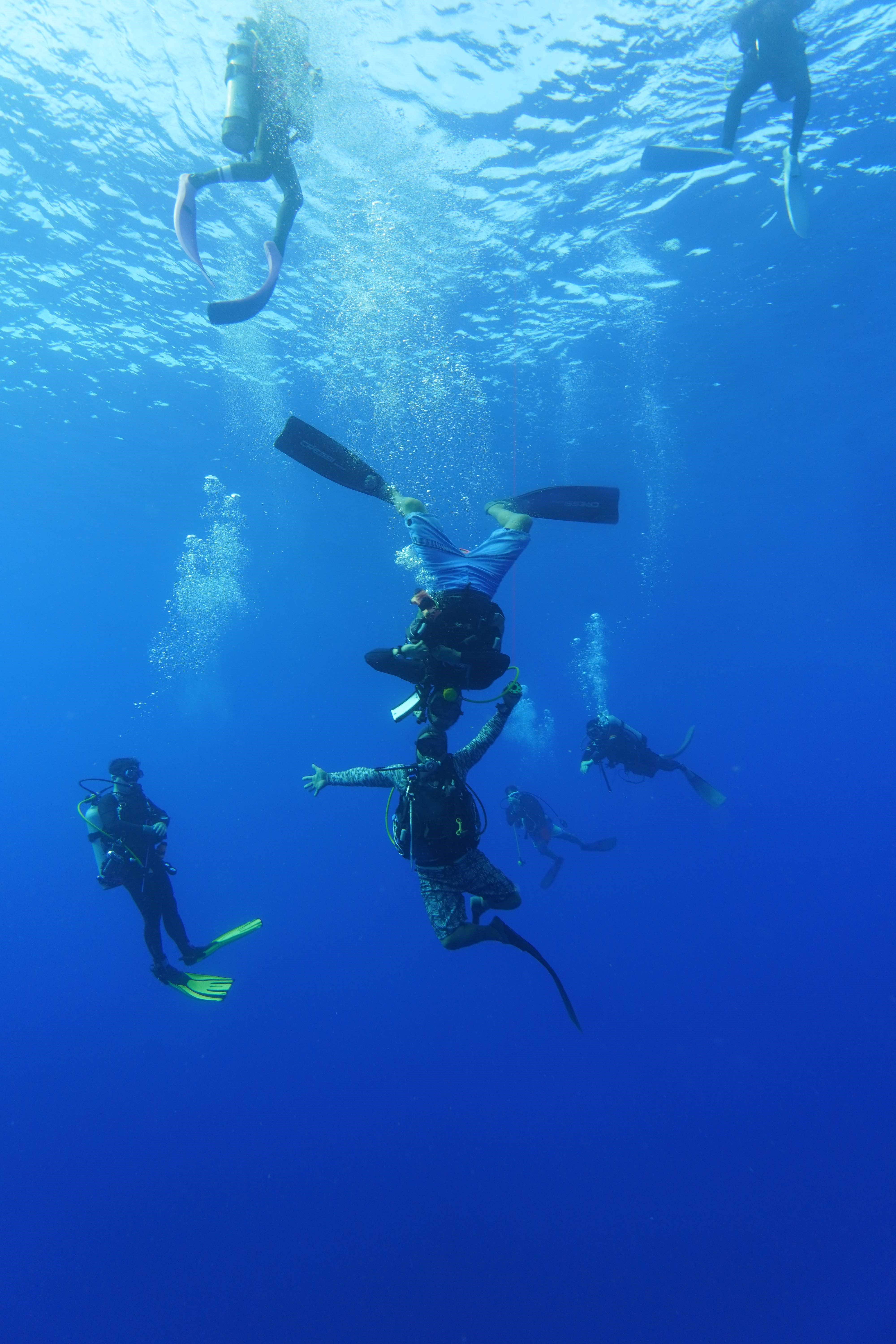 Palau Aggressor II | Adventure Logs