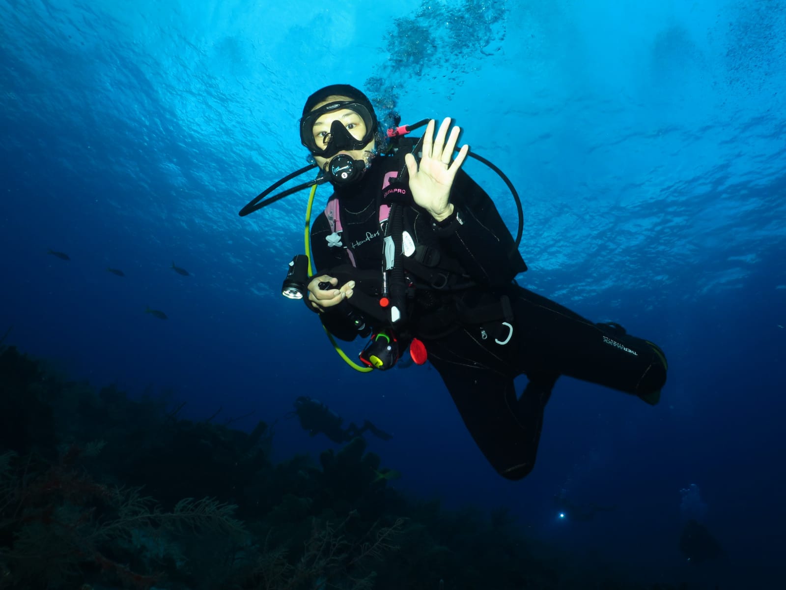 Belize Aggressor III | Adventure Logs