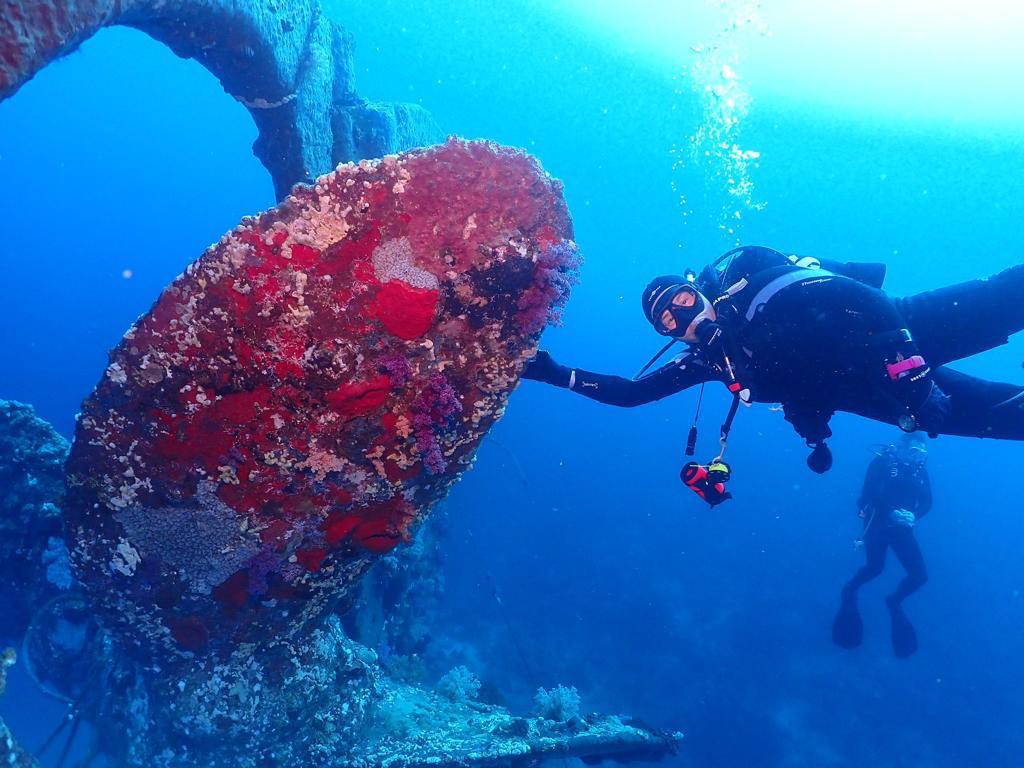 Red Sea RE Aggressor | Adventure Logs