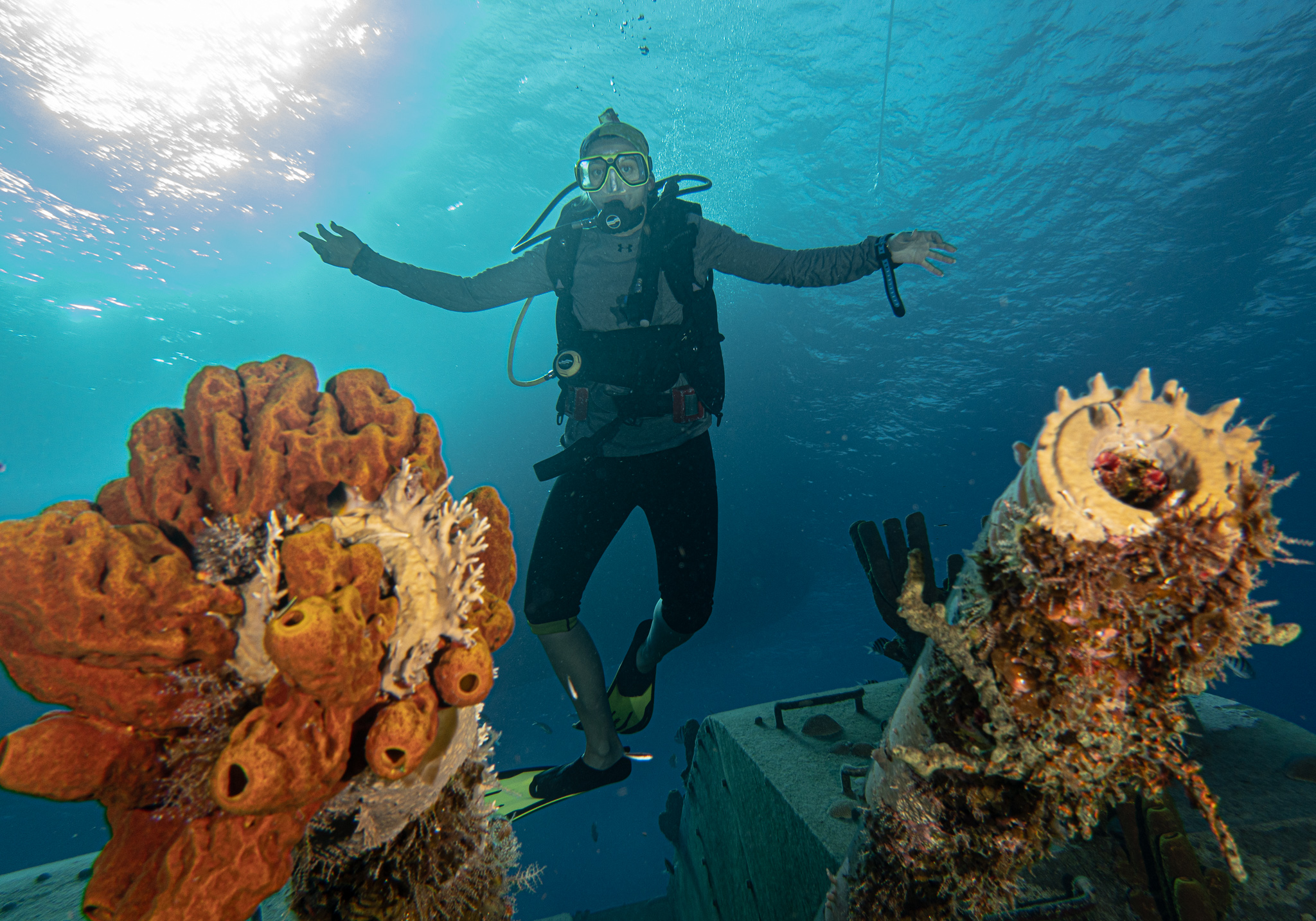 Cayman Aggressor IV | Adventure Logs