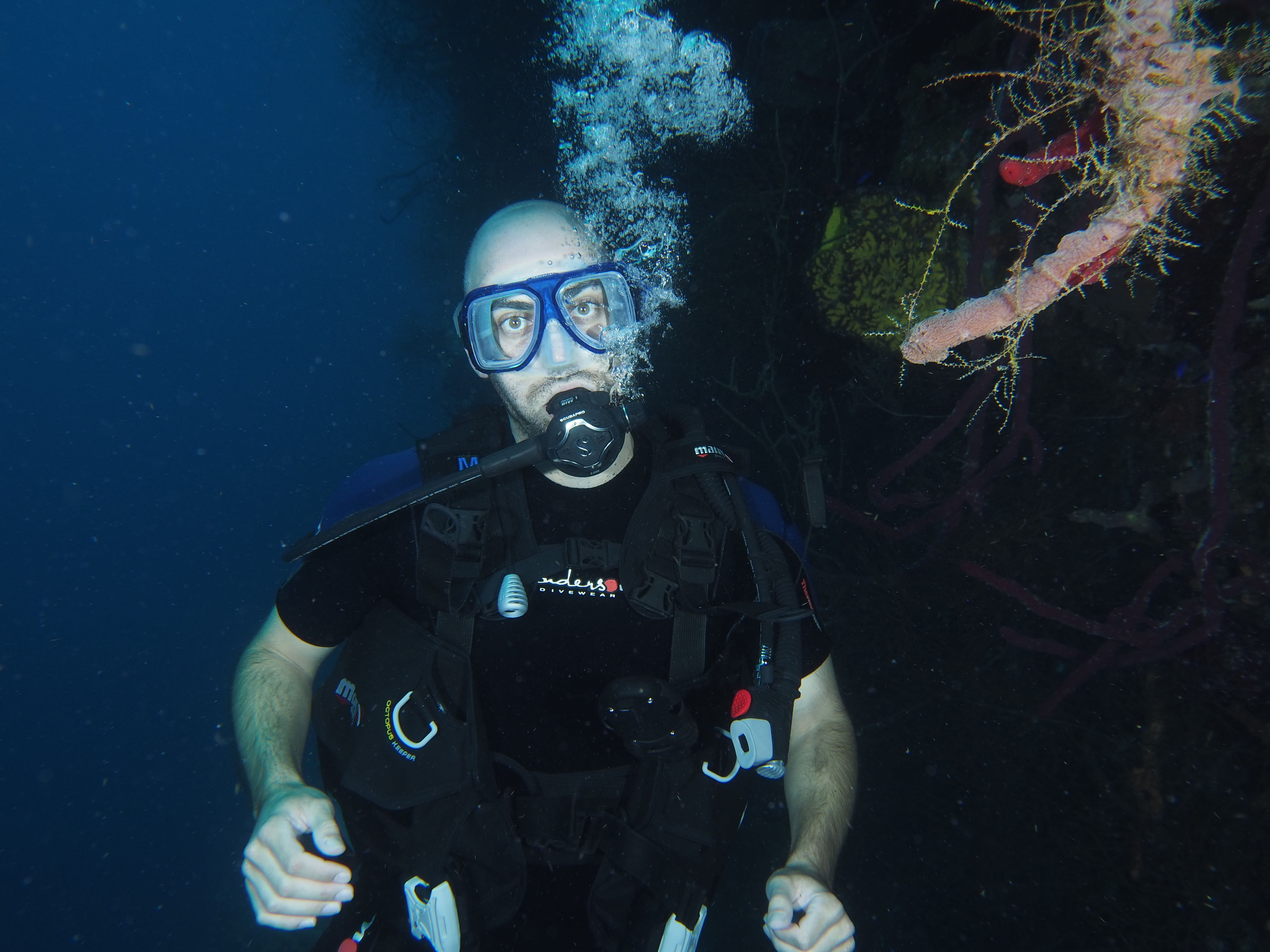 Belize Aggressor IV | Adventure Logs