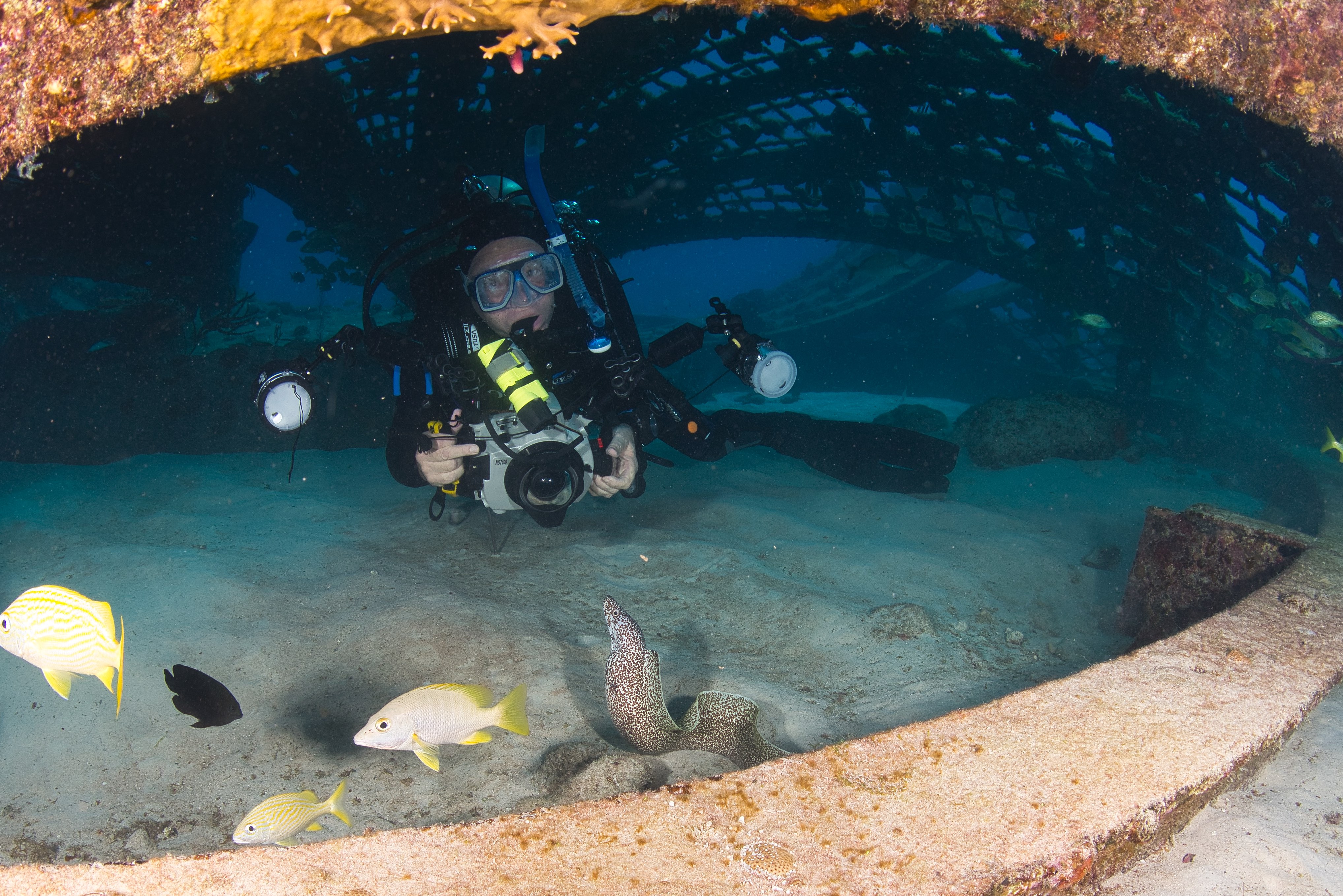 Turks & Caicos Aggressor II | Adventure Logs