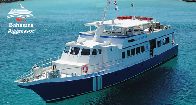 Rates & Dates | Aggressor Adventures™