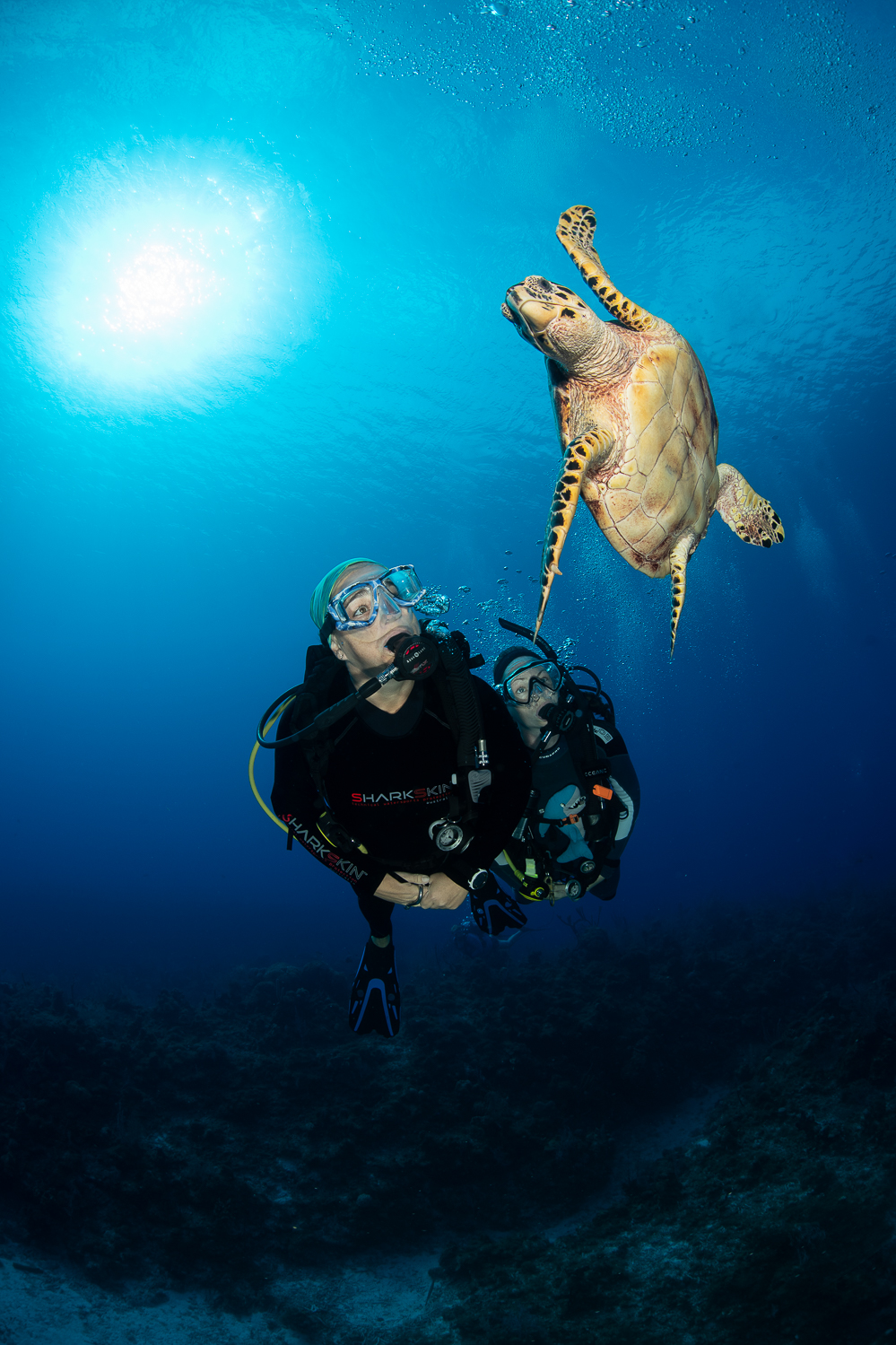 Cayman Aggressor IV | Adventure Logs