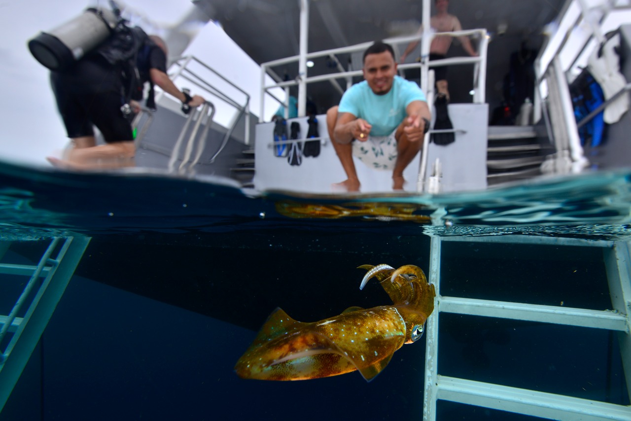 Belize Aggressor III | Adventure Logs