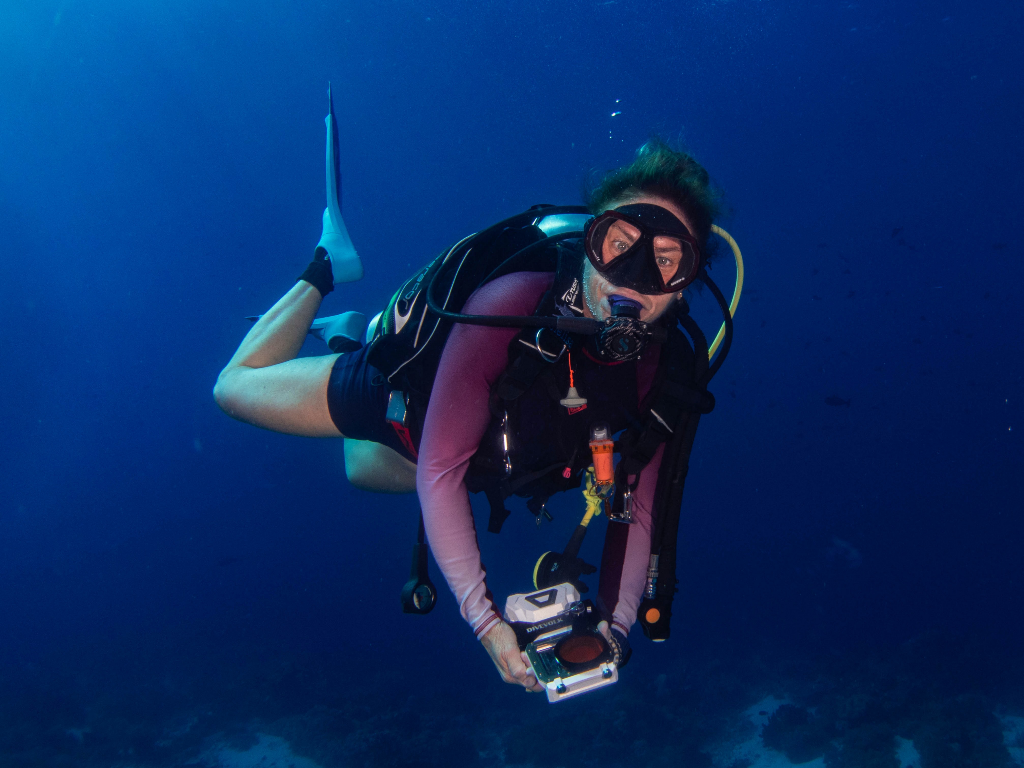 Philippines Aggressor II | Adventure Logs