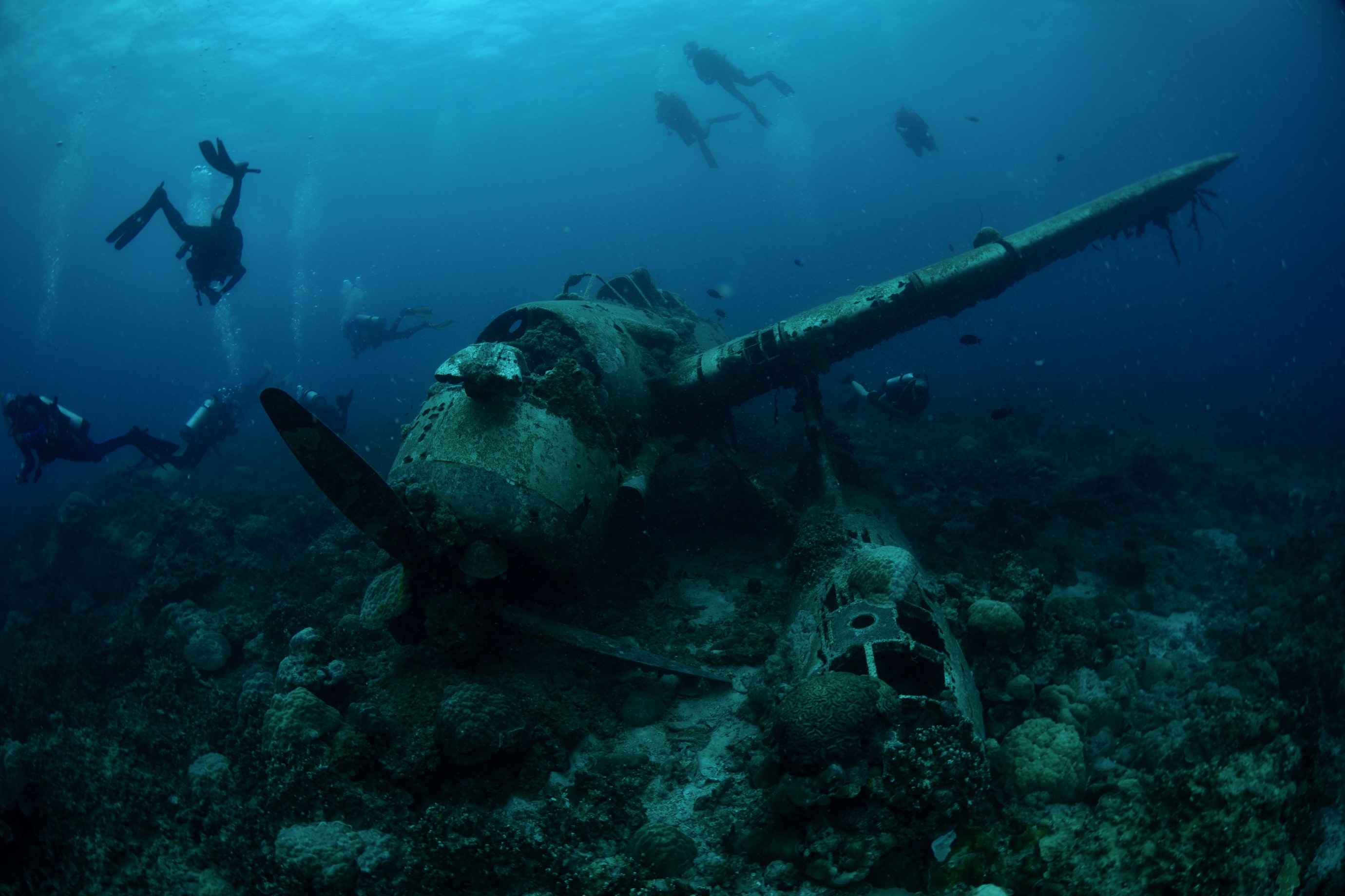 Palau Aggressor II | Adventure Logs