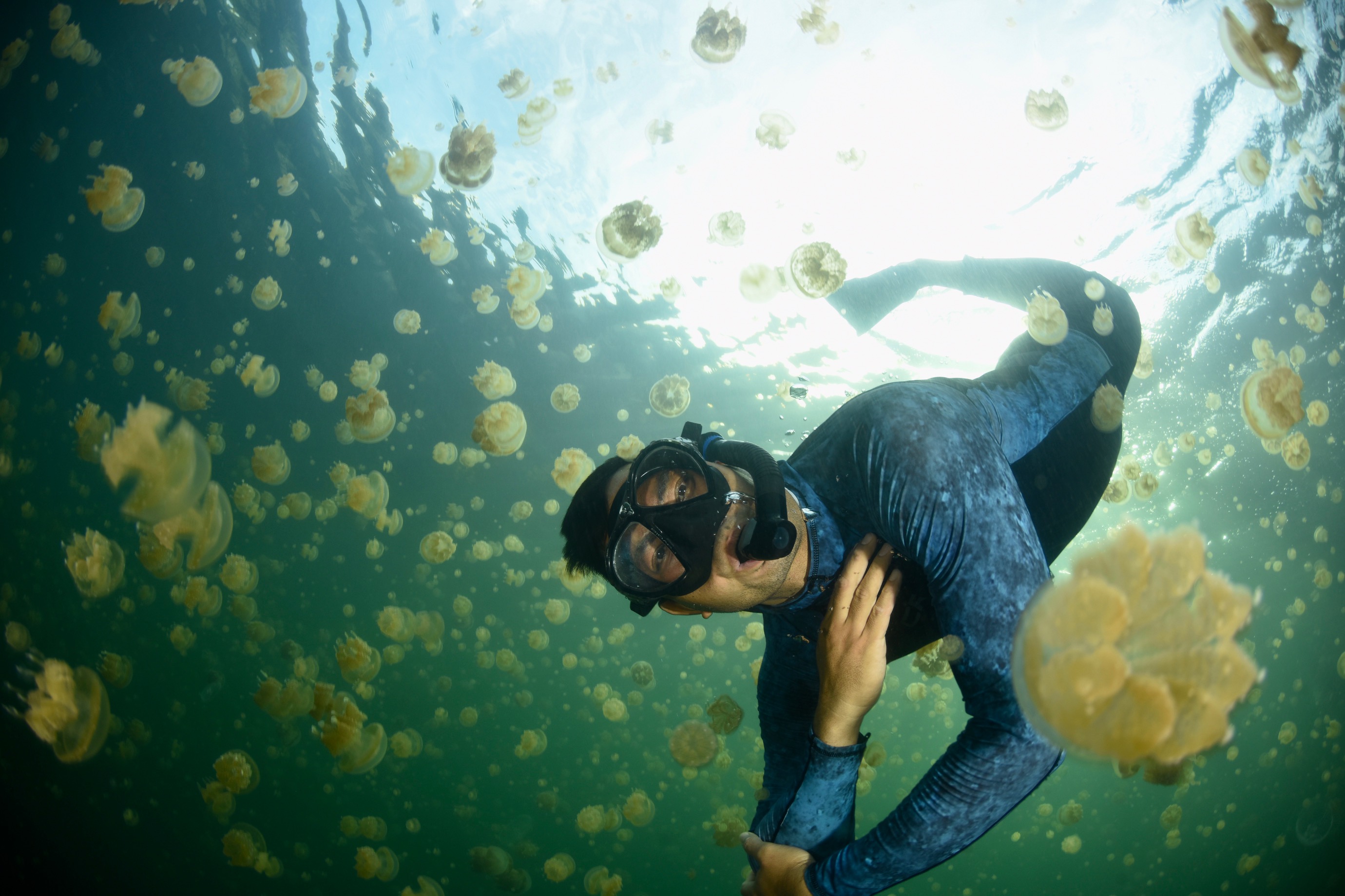 Palau Aggressor II | Adventure Logs