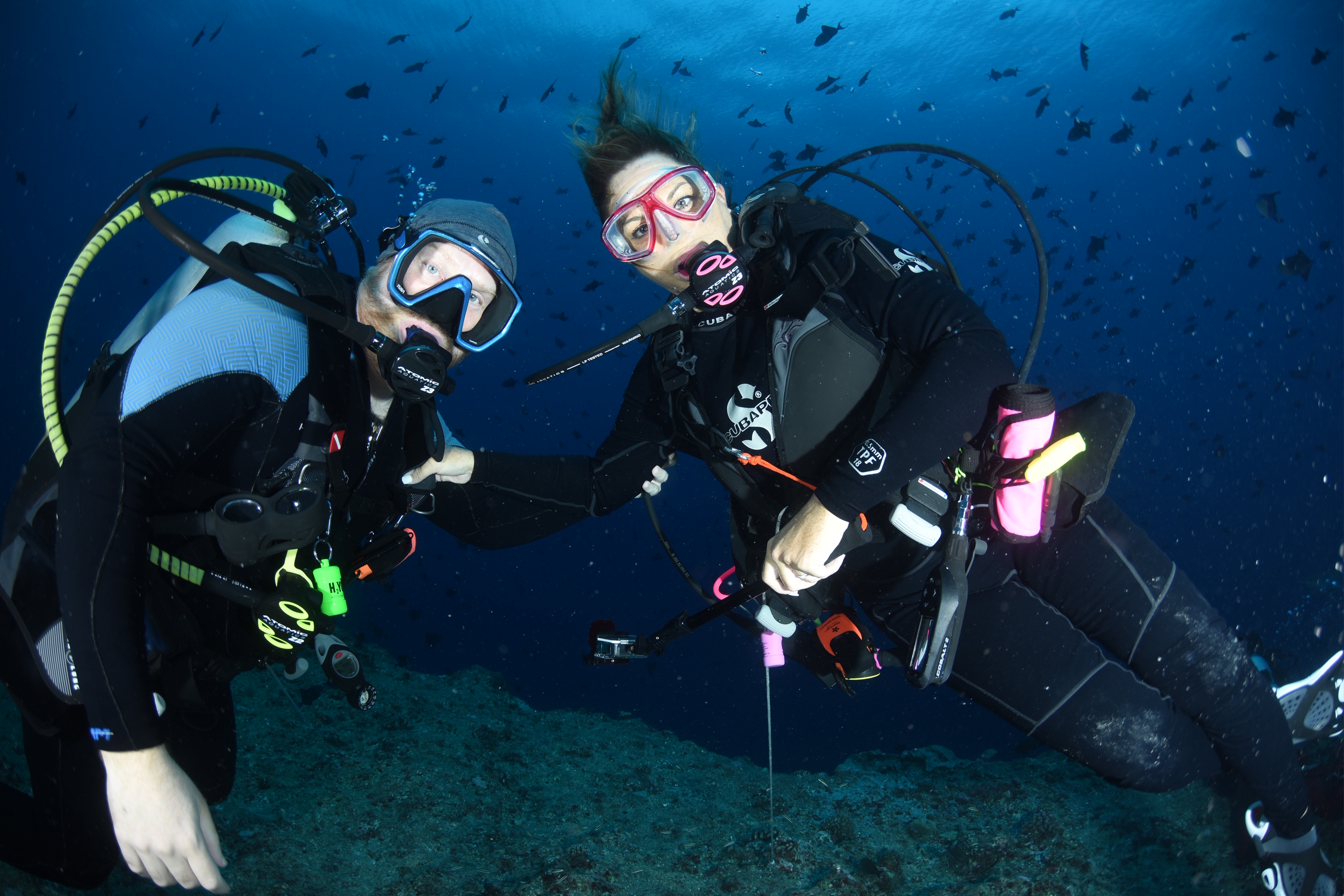 Palau Aggressor II | Adventure Logs