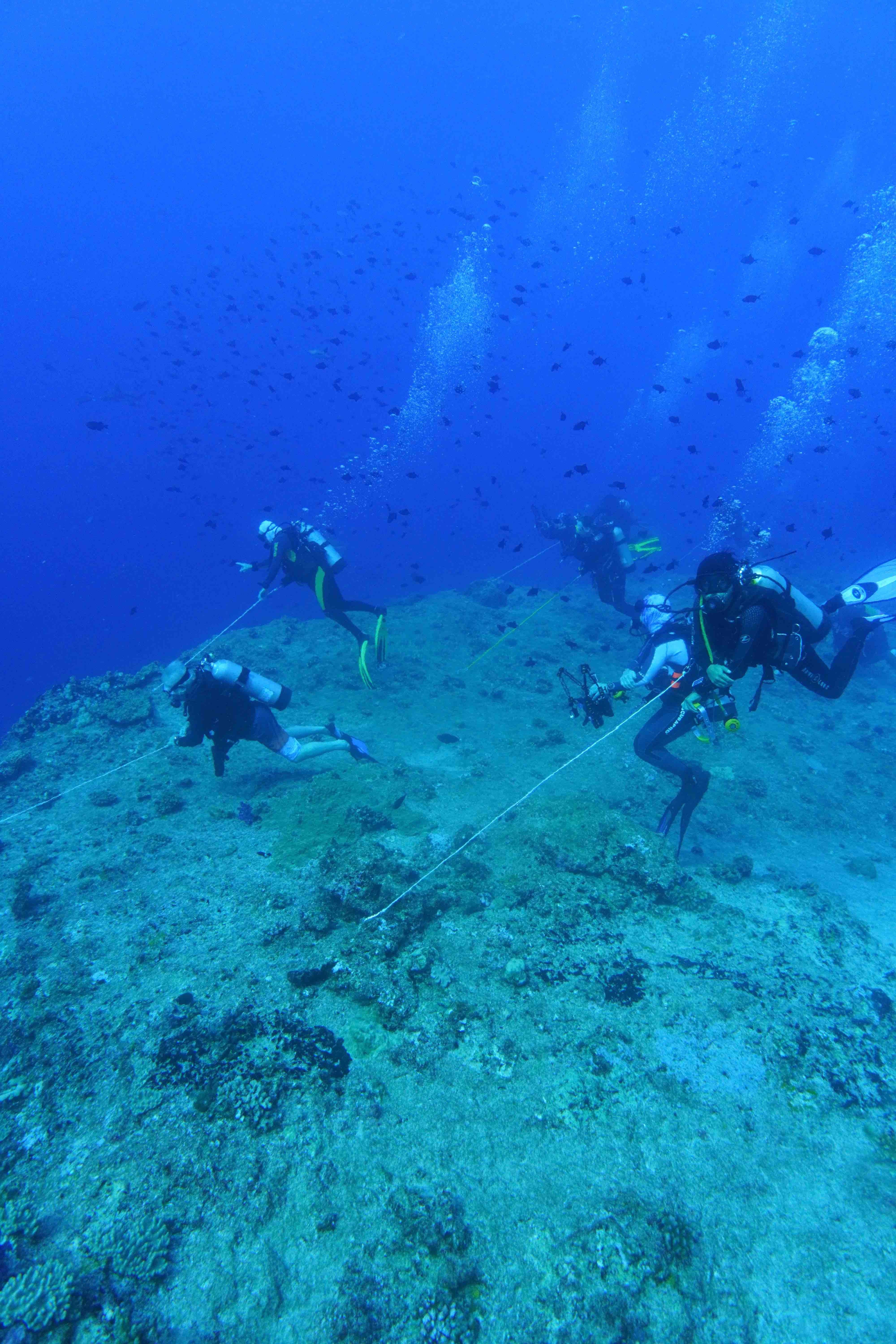 Palau Aggressor II | Adventure Logs