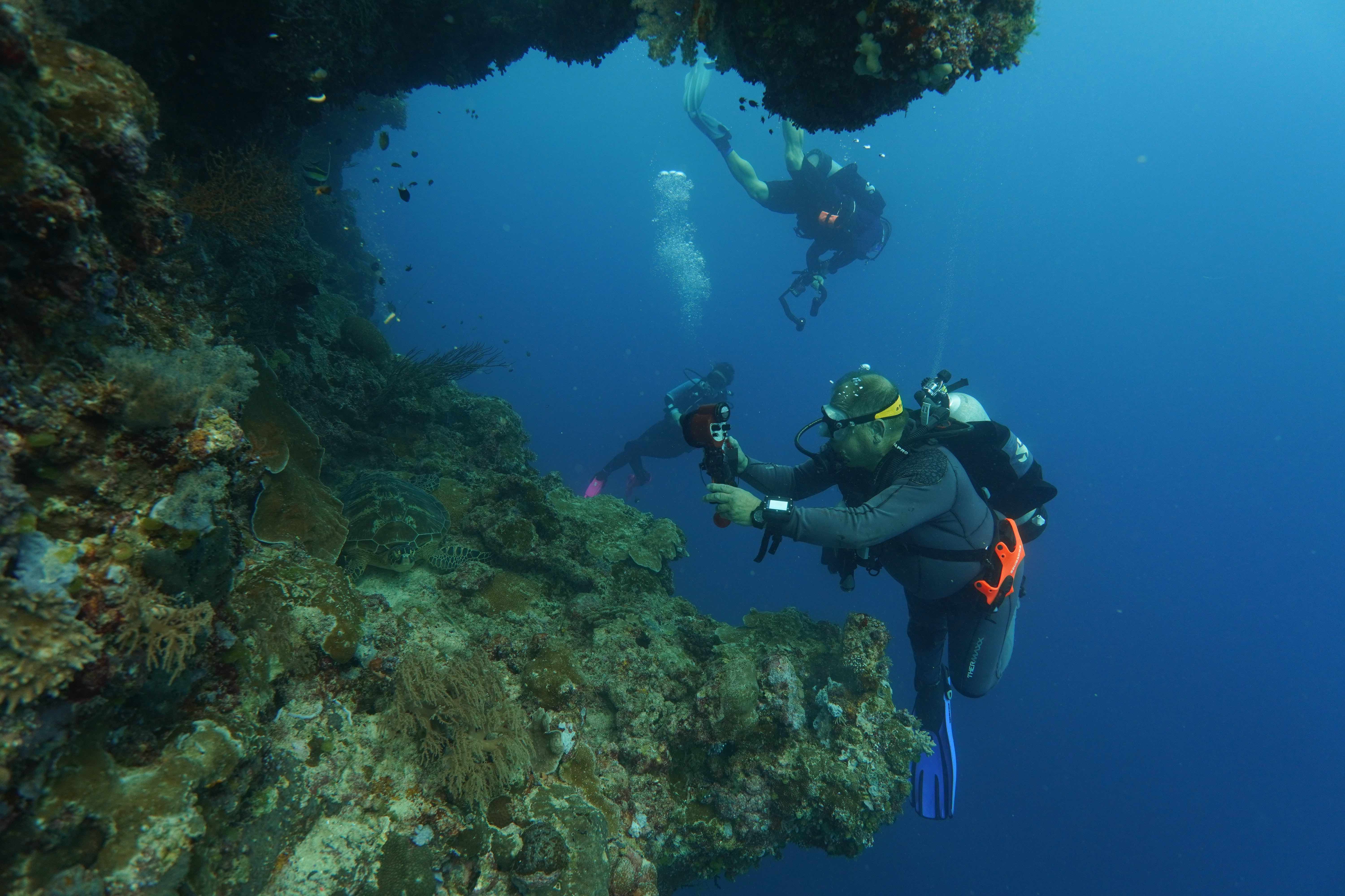 Palau Aggressor II | Adventure Logs