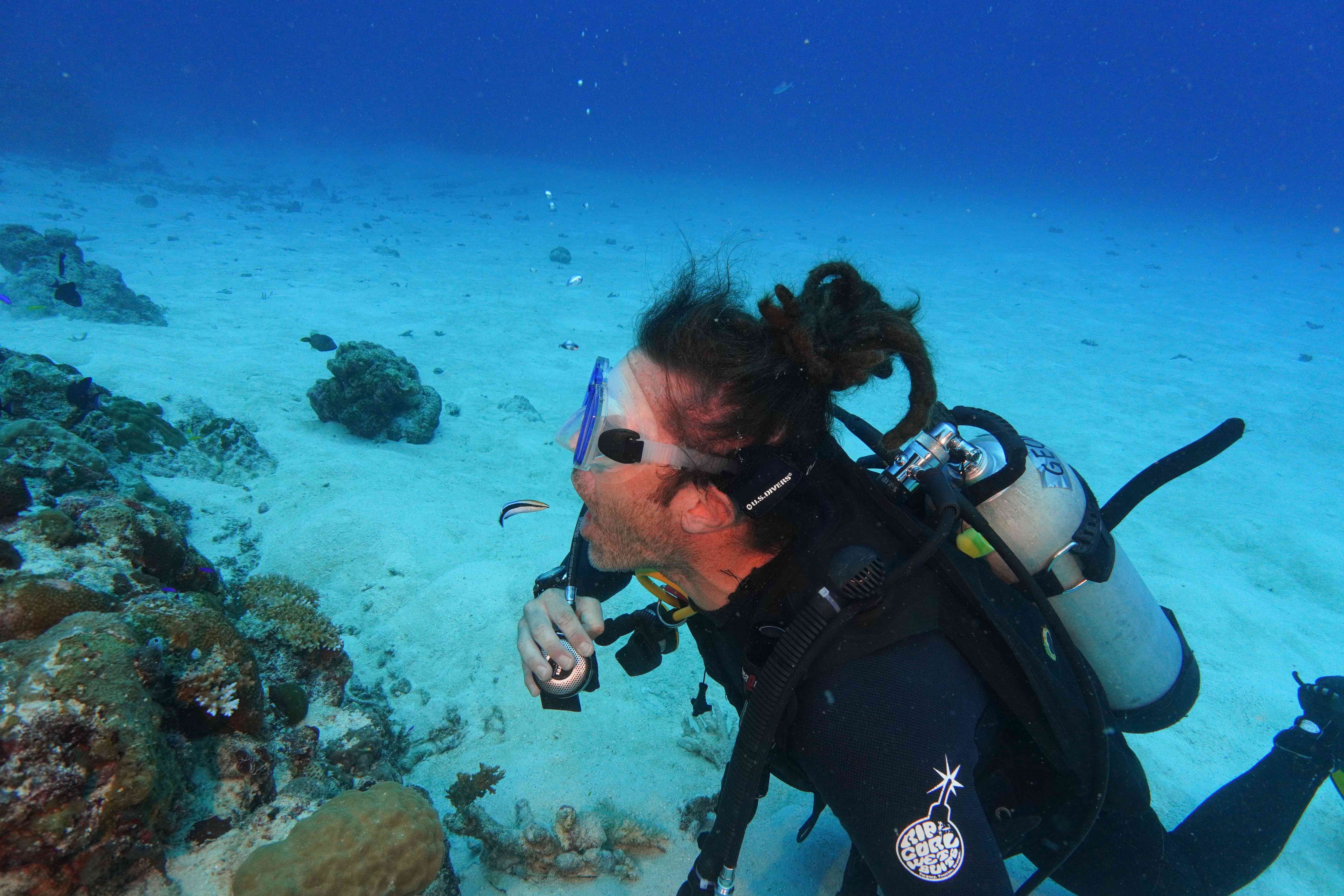 Palau Aggressor II | Adventure Logs