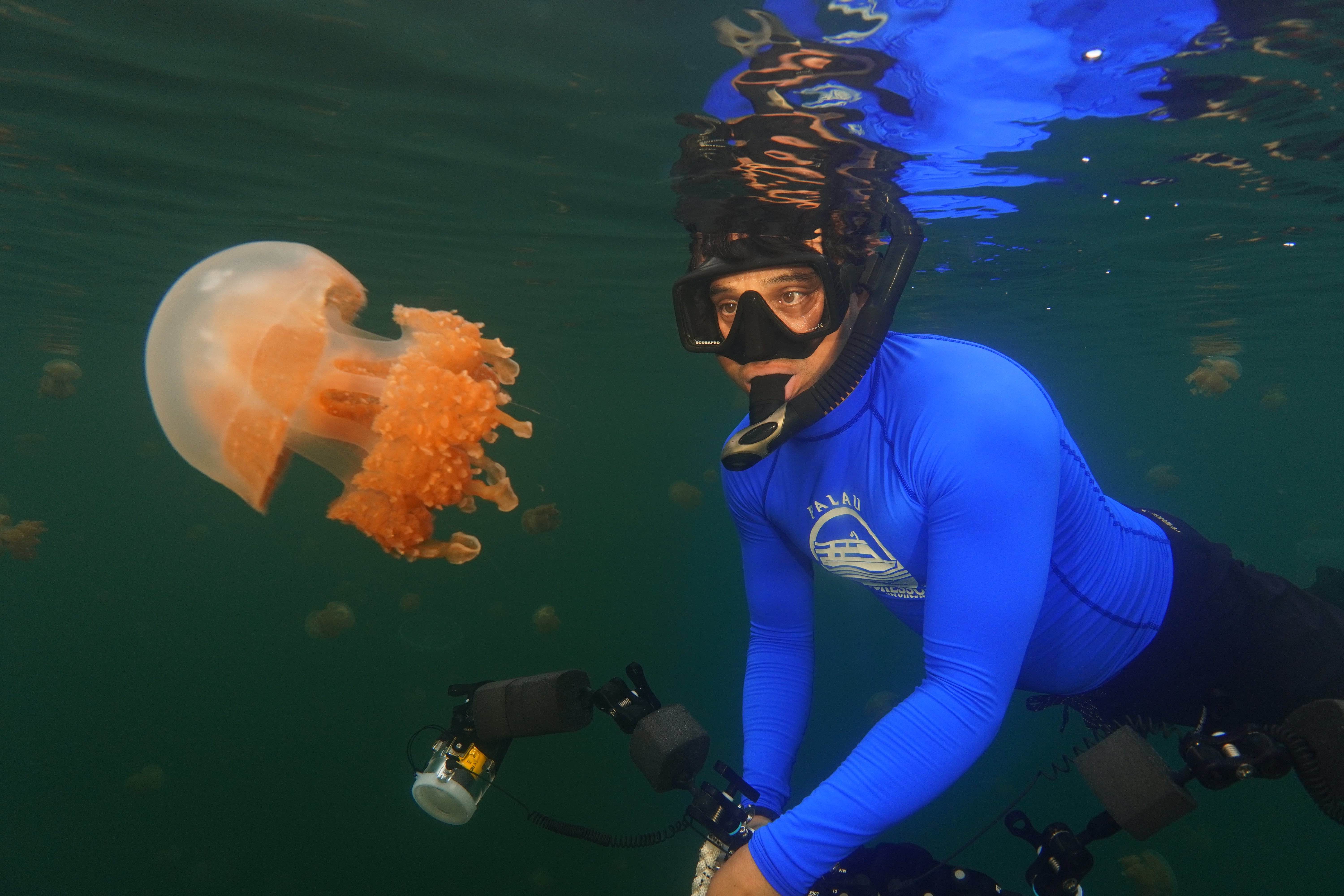 Palau Aggressor II | Adventure Logs