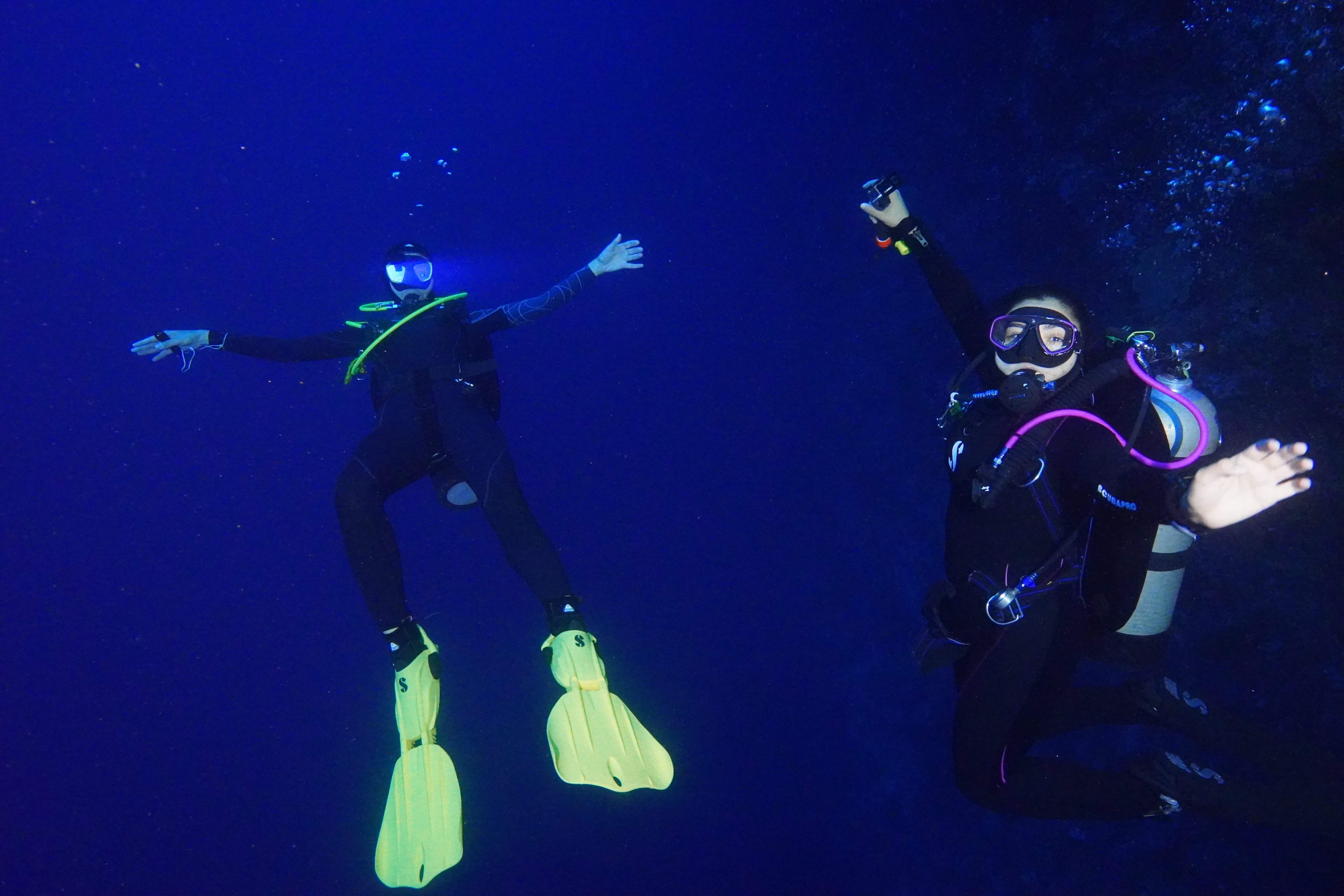 Palau Aggressor II | Adventure Logs