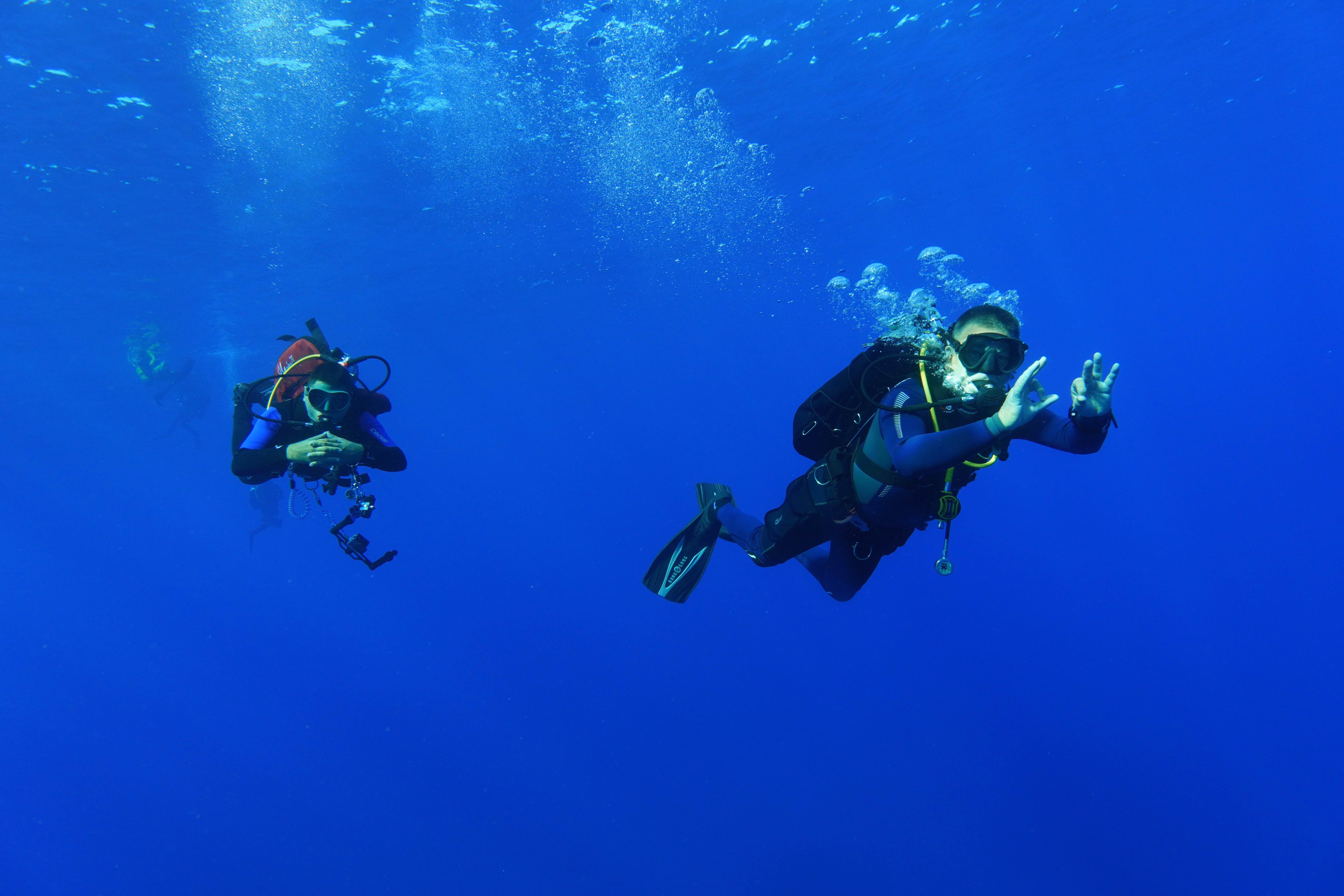 Palau Aggressor II | Adventure Logs