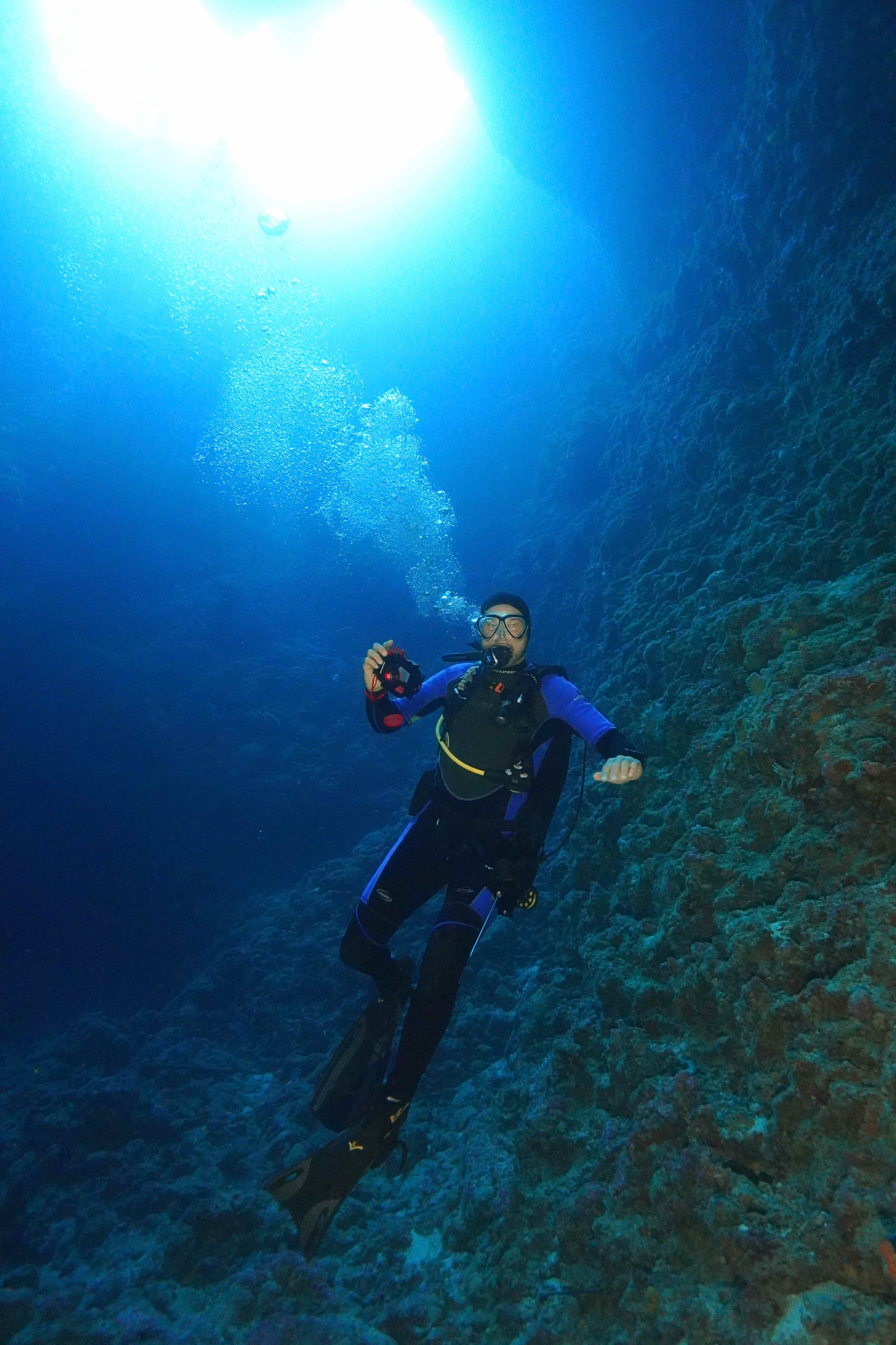 Palau Aggressor II | Adventure Logs