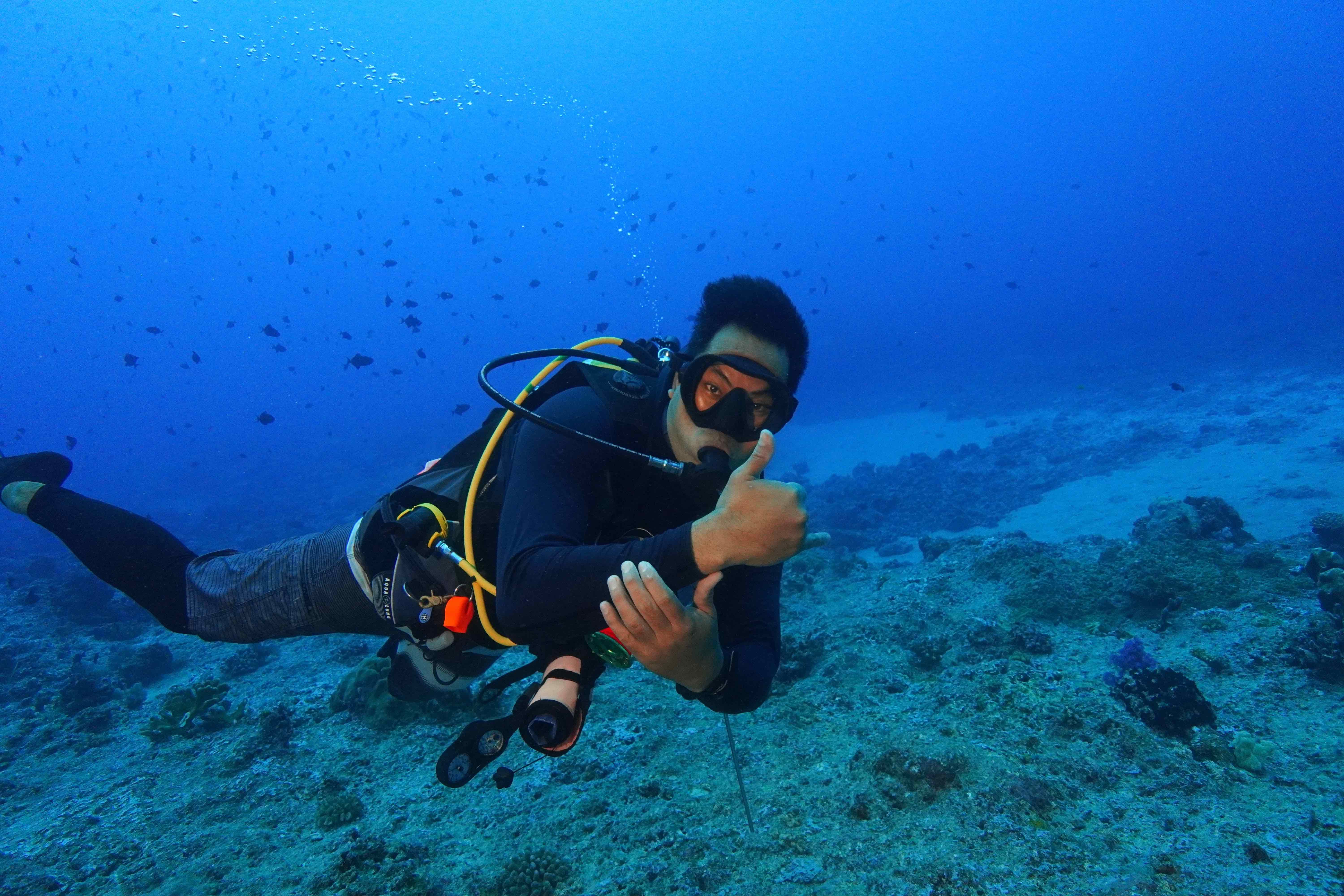 Palau Aggressor II | Adventure Logs