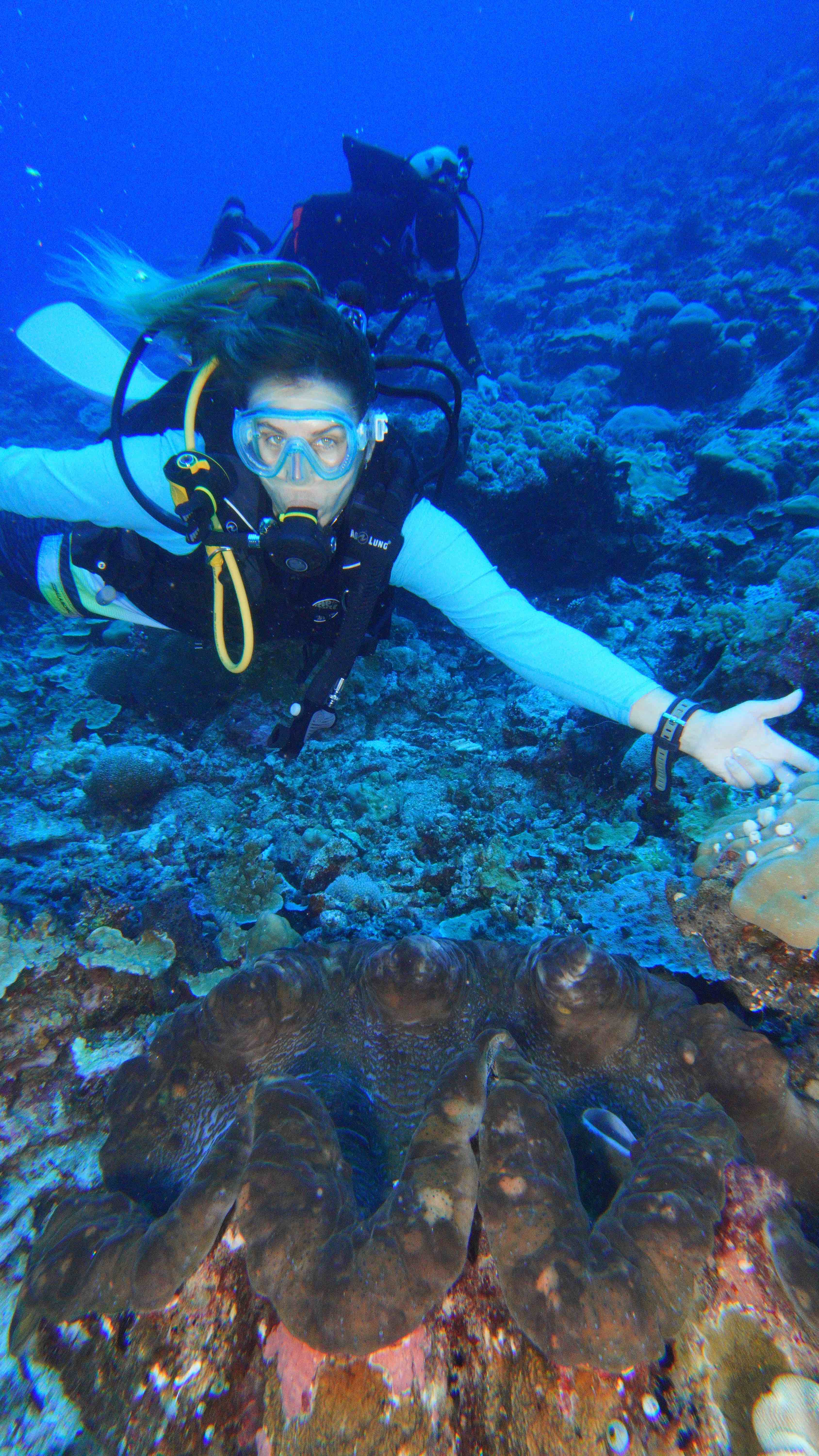 Palau Aggressor II | Adventure Logs