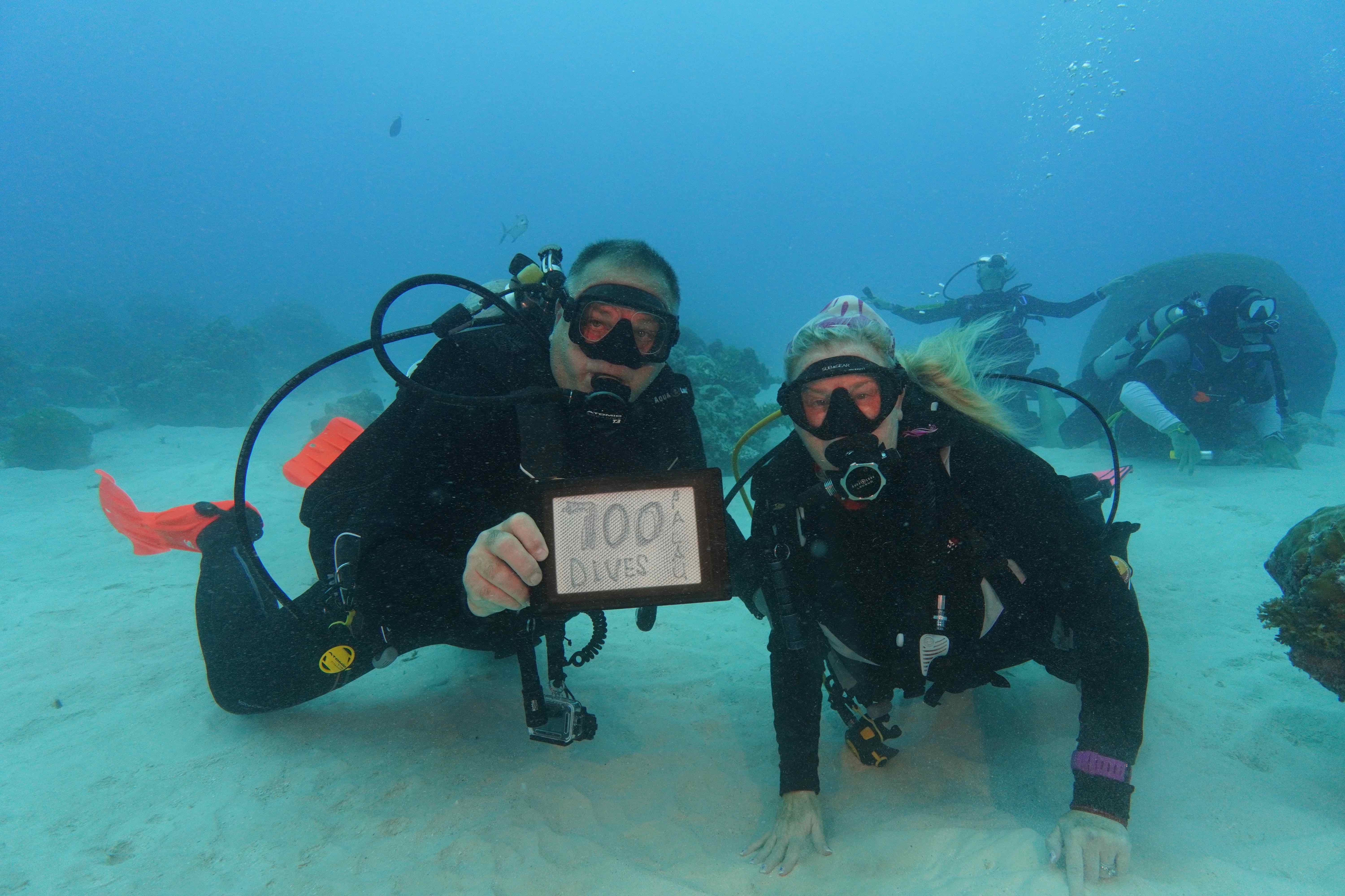 Palau Aggressor II | Adventure Logs