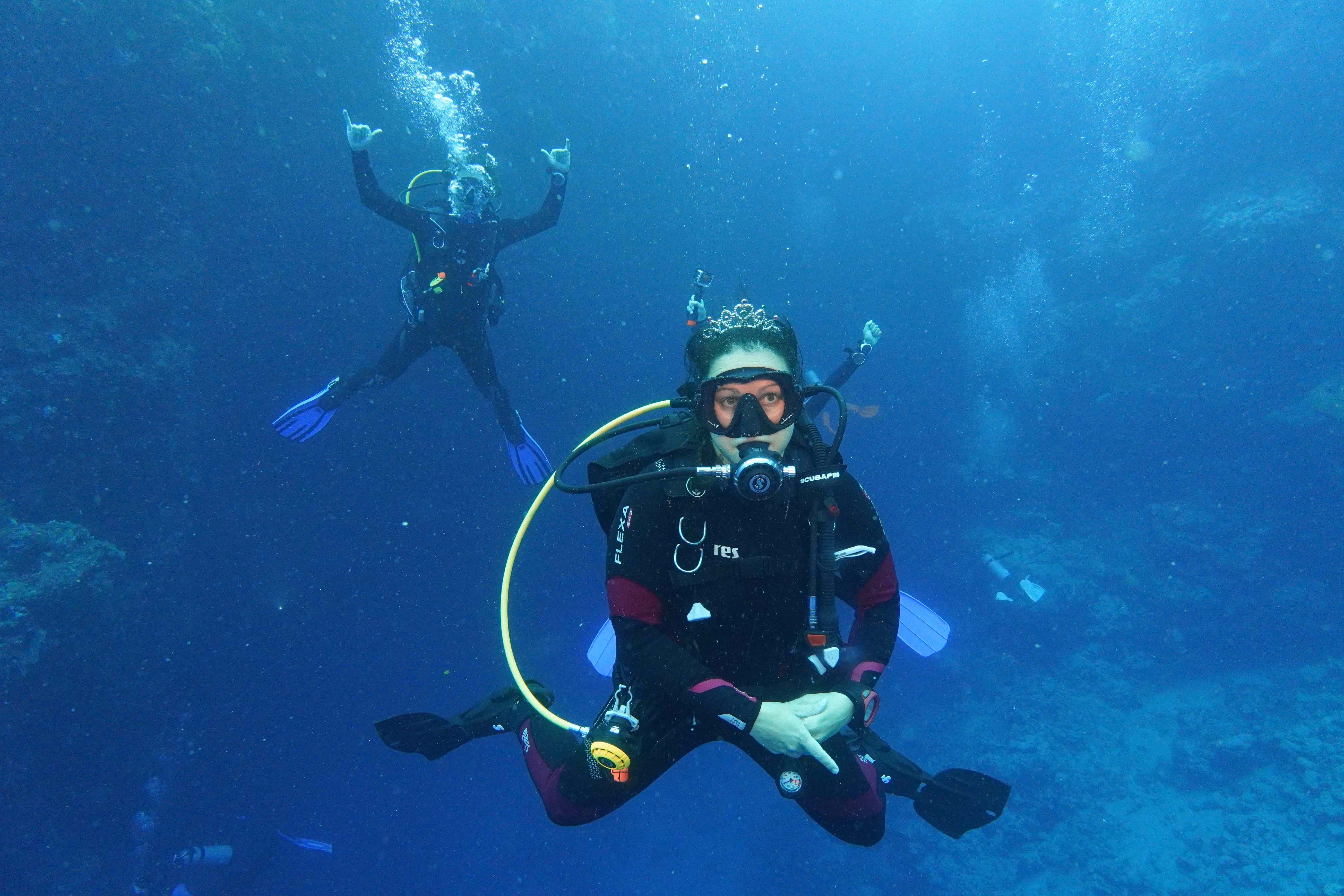 Palau Aggressor II | Adventure Logs