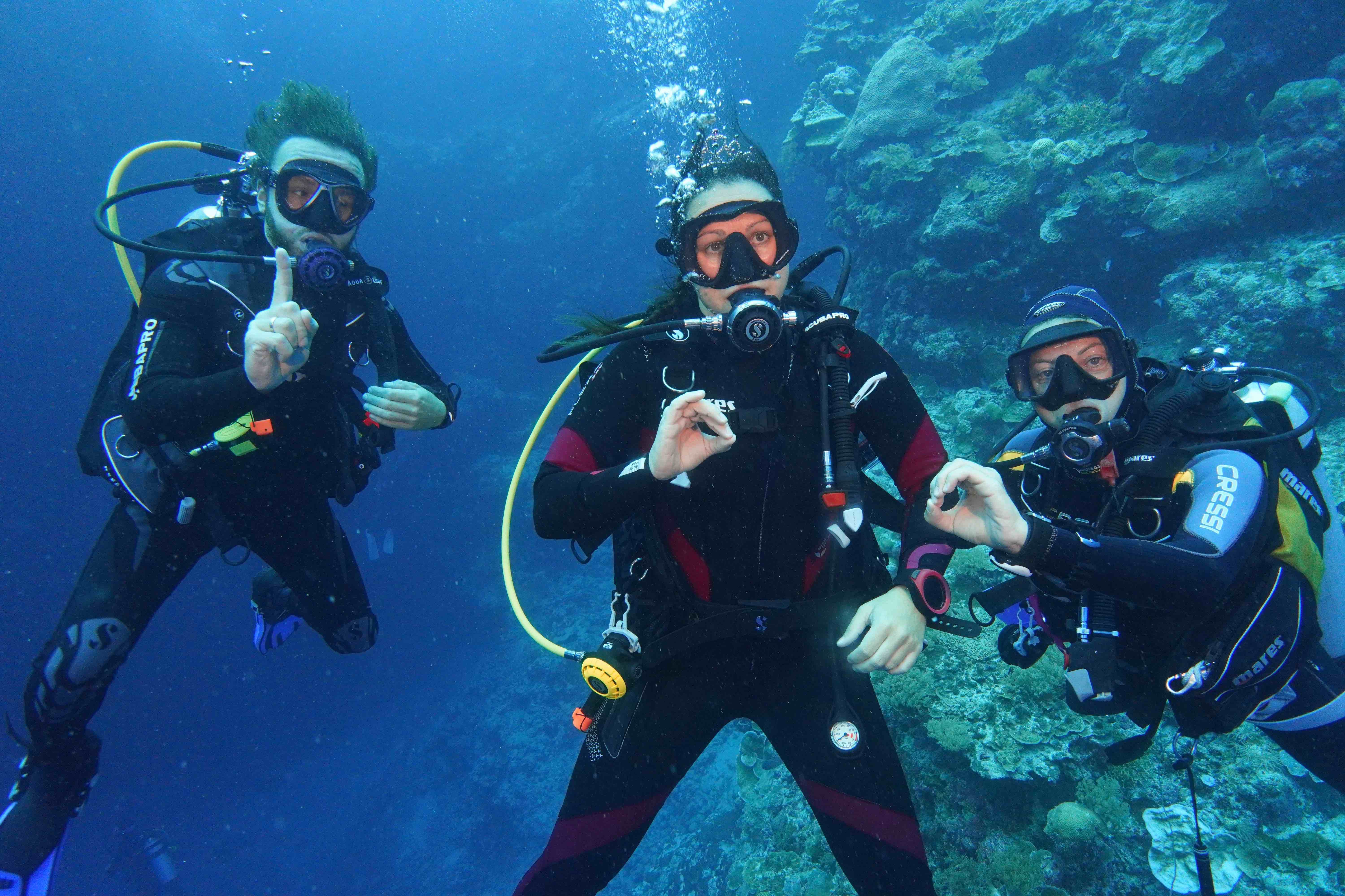 Palau Aggressor II | Adventure Logs