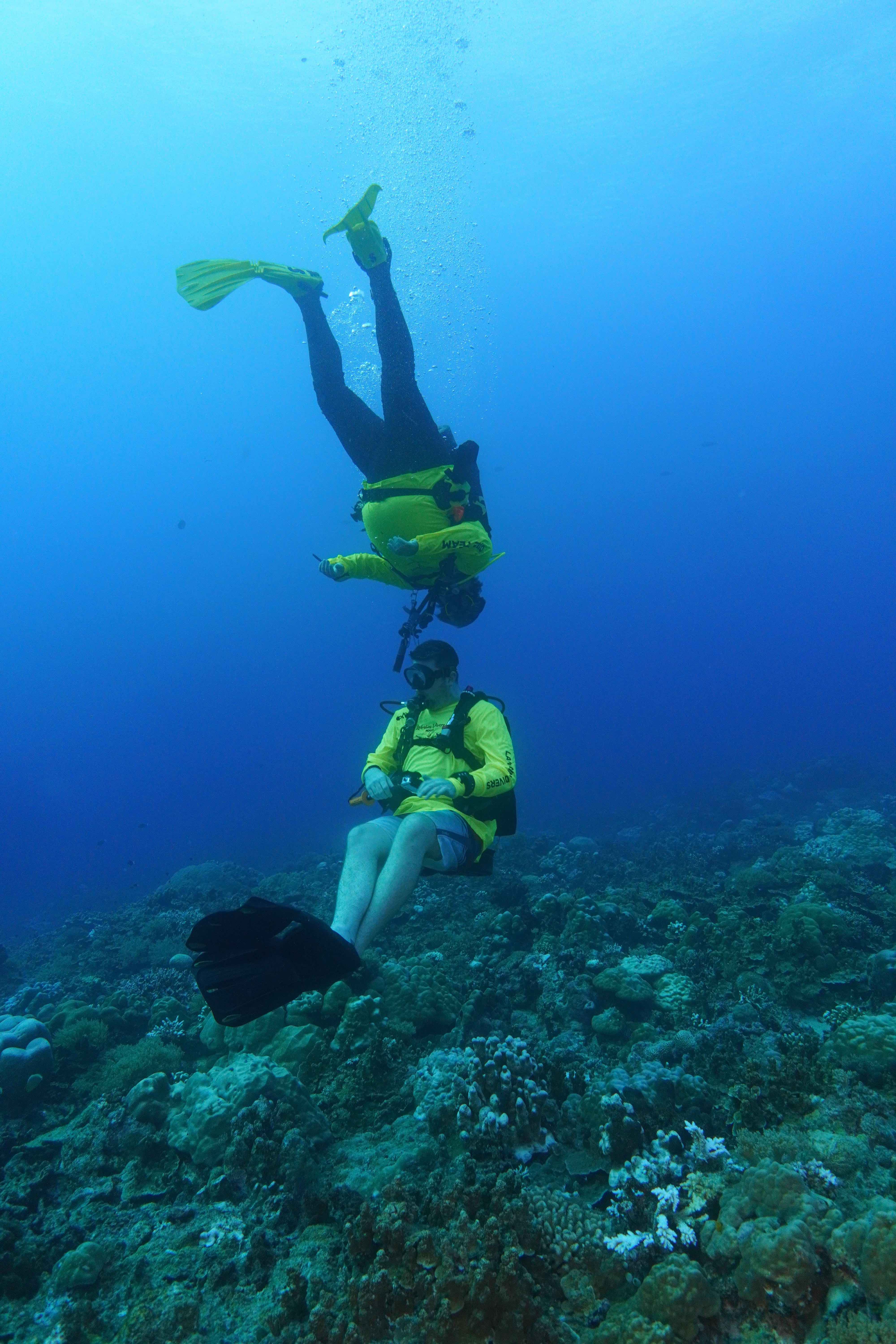 Palau Aggressor II | Adventure Logs