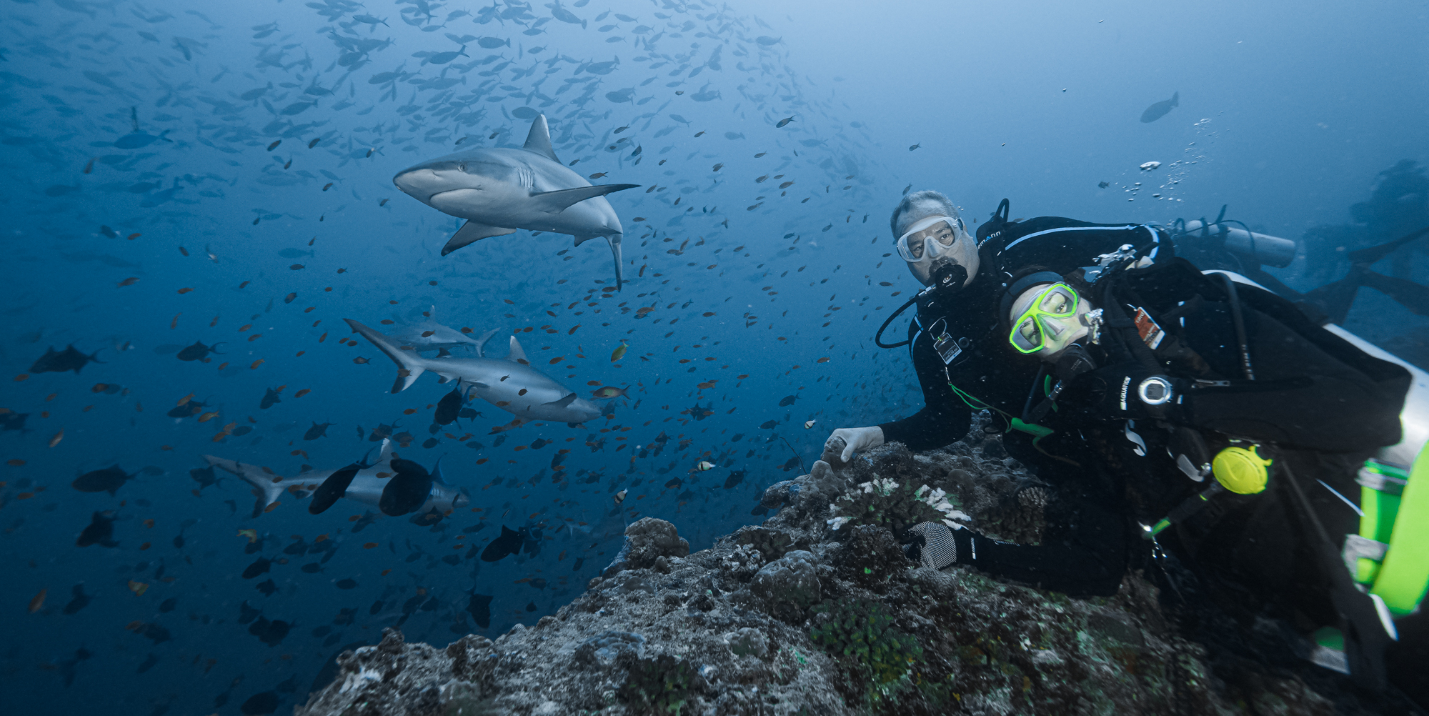 Maldives Aggressor II | Adventure Logs