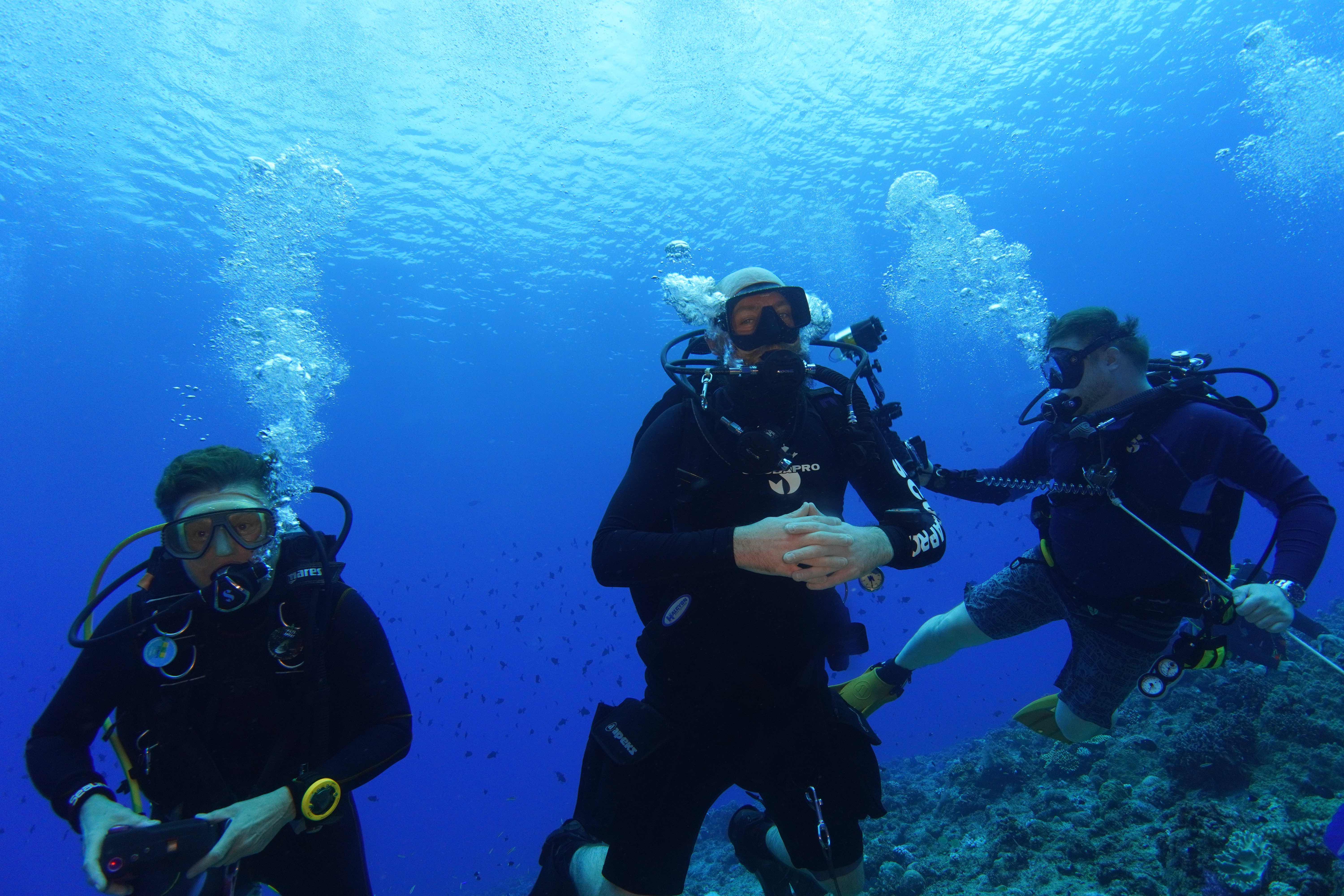 Palau Aggressor II | Adventure Logs