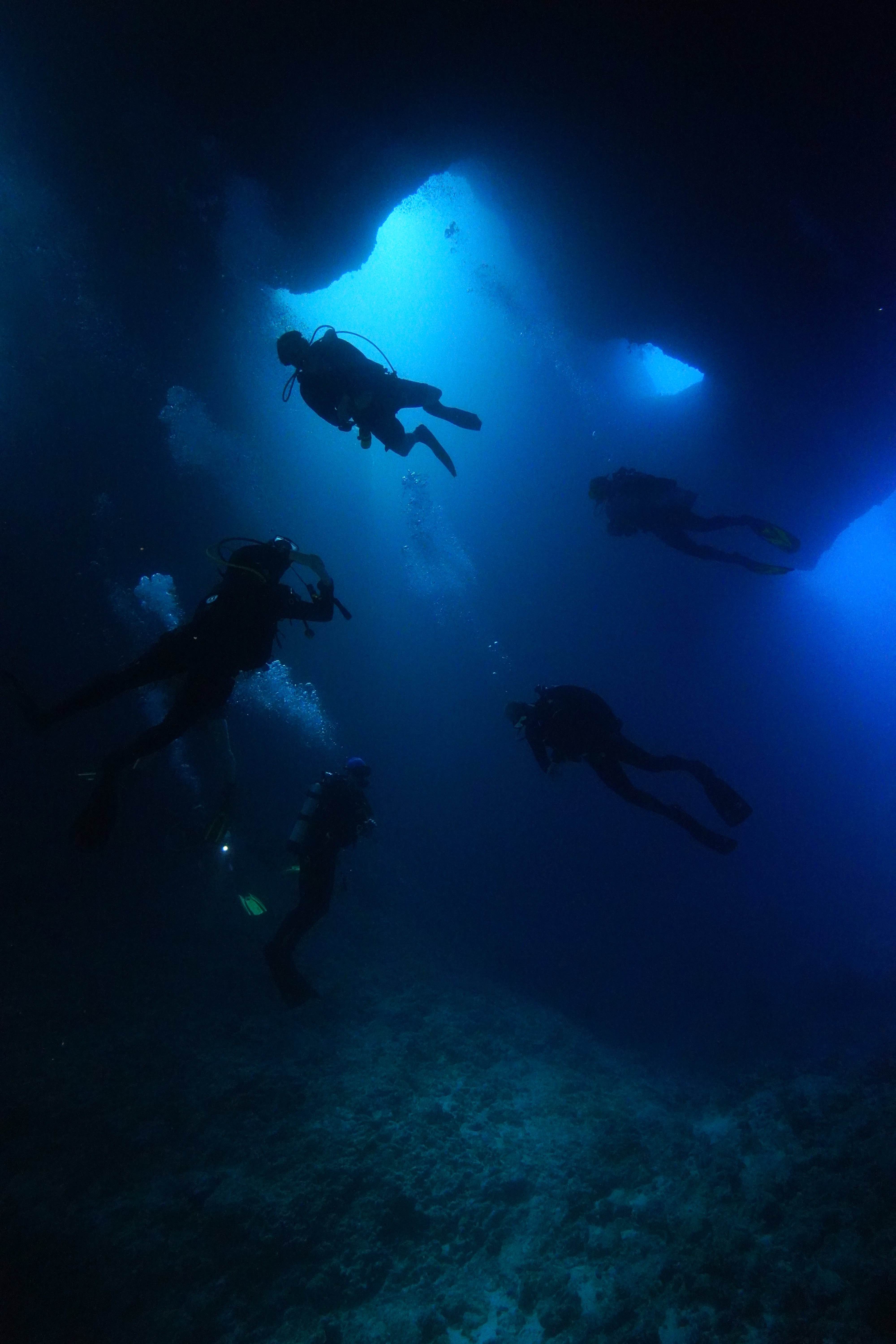 Palau Aggressor II | Adventure Logs