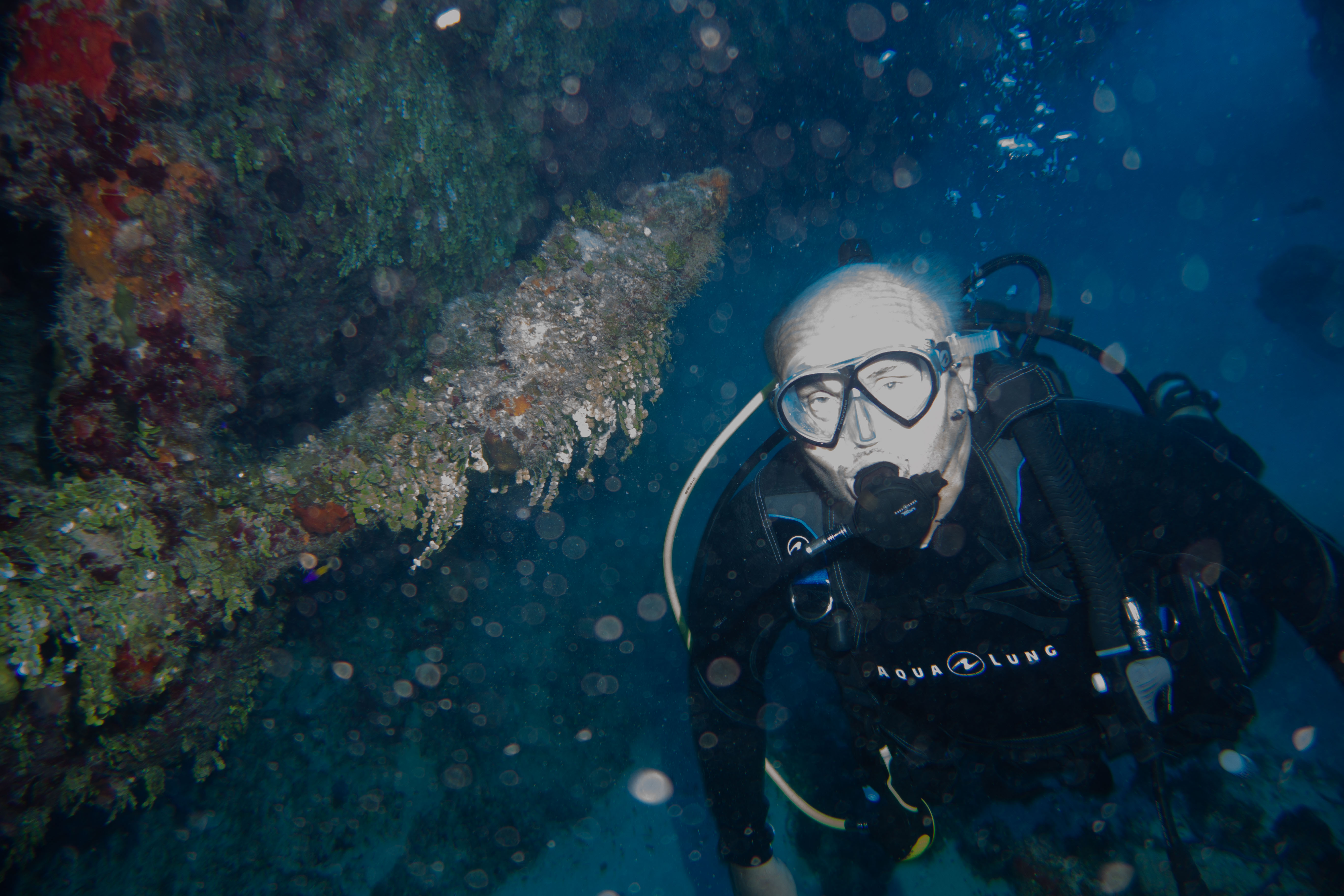 Turks & Caicos Aggressor II | Adventure Logs