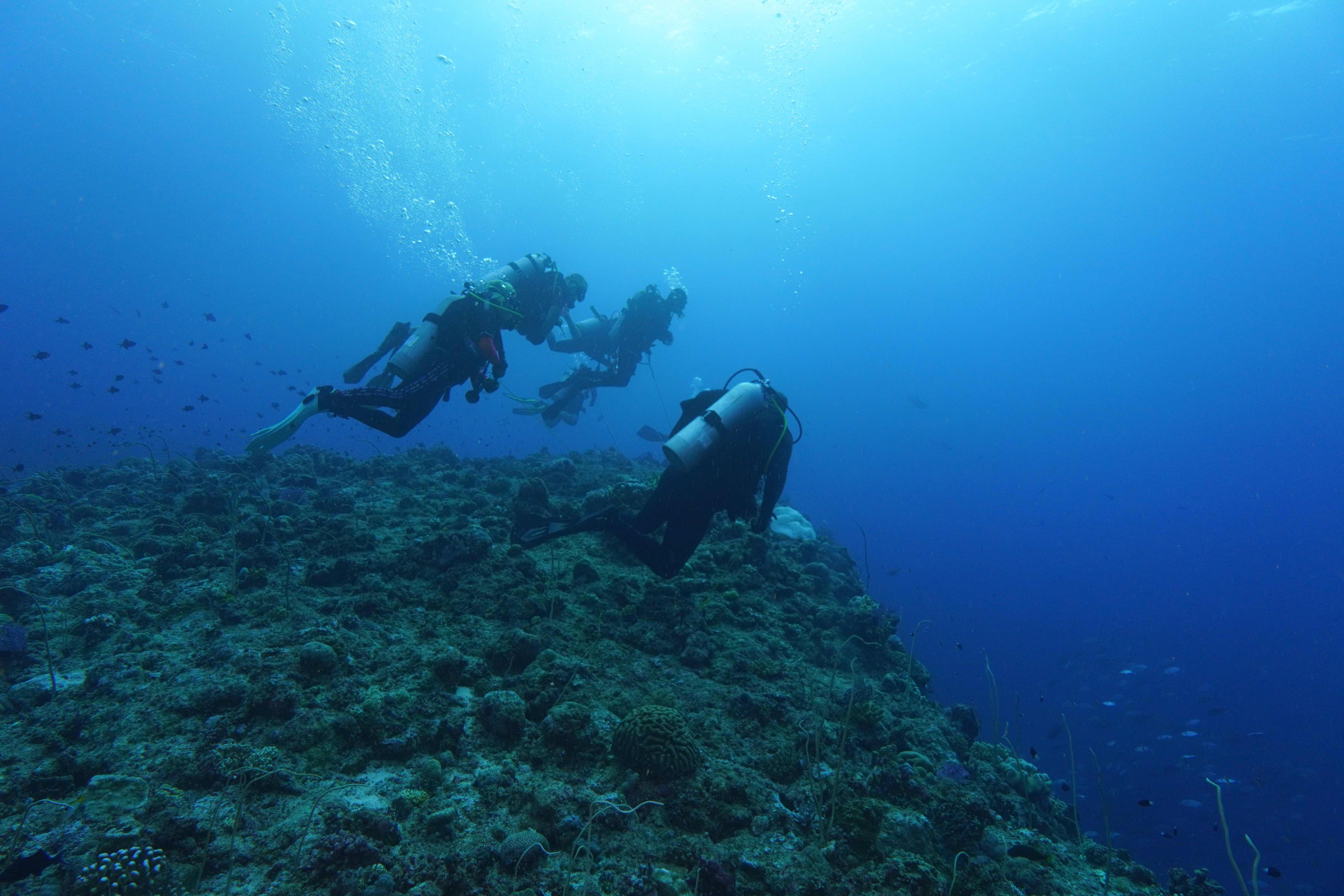 Palau Aggressor II | Adventure Logs