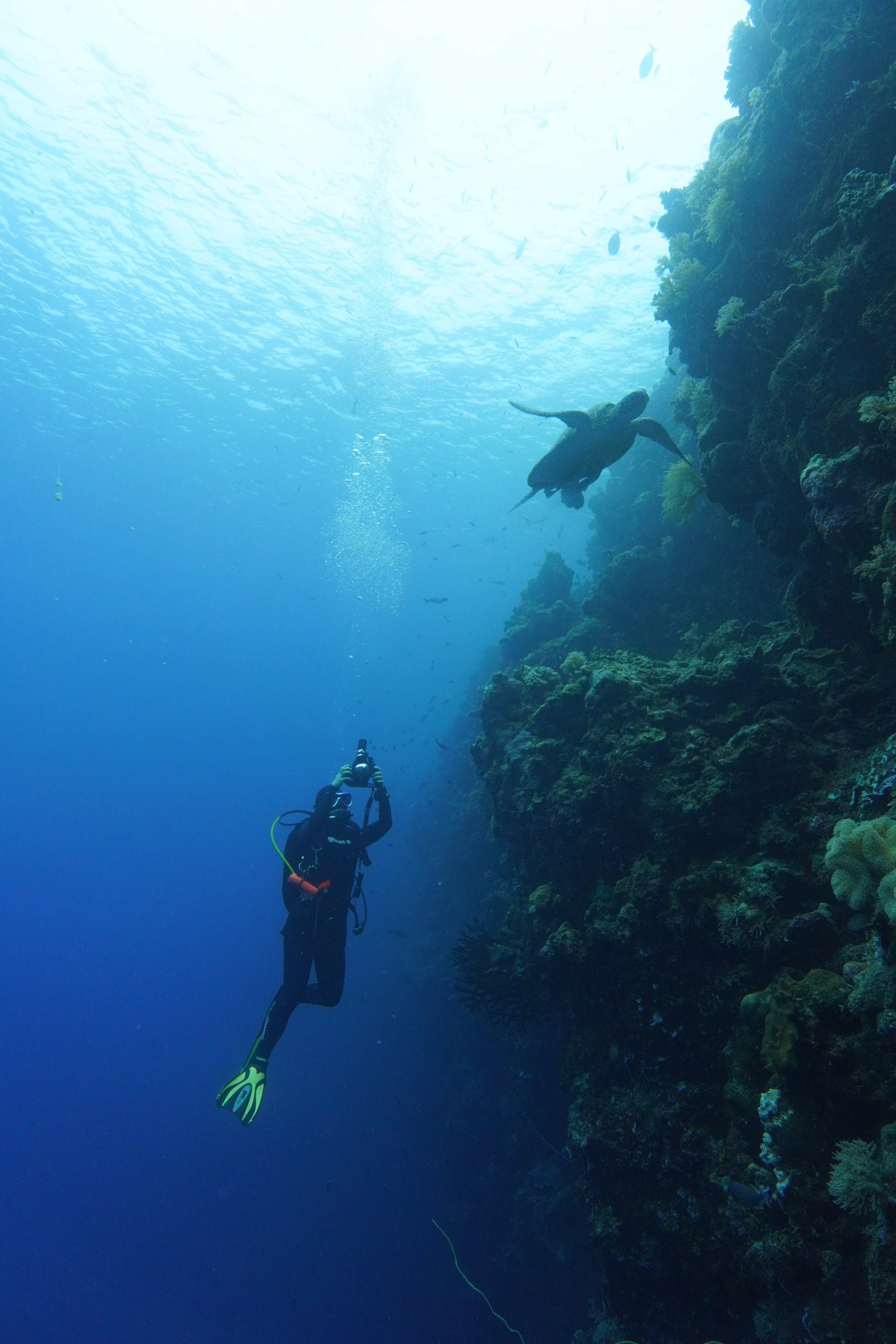 Palau Aggressor II | Adventure Logs