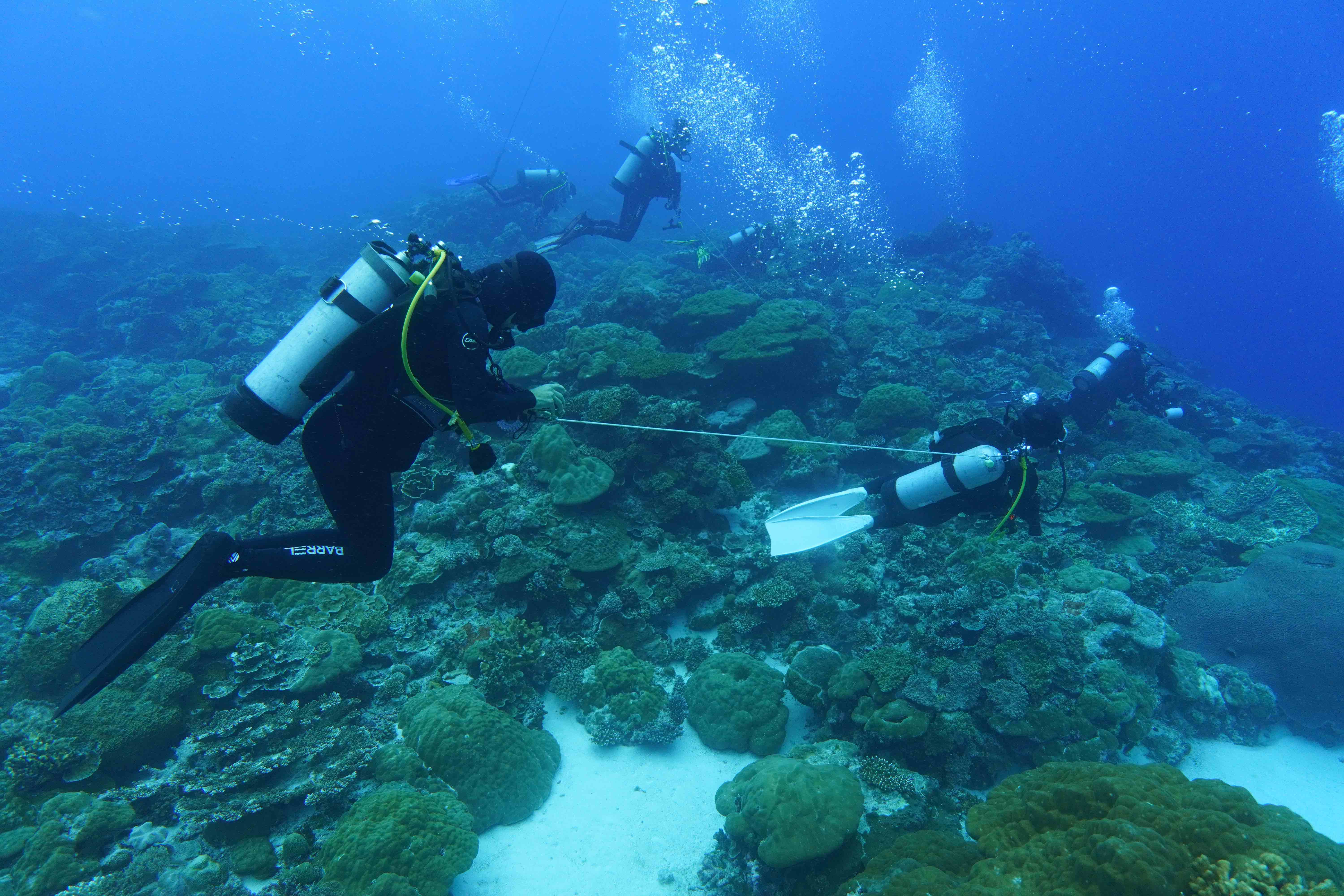 Palau Aggressor II | Adventure Logs