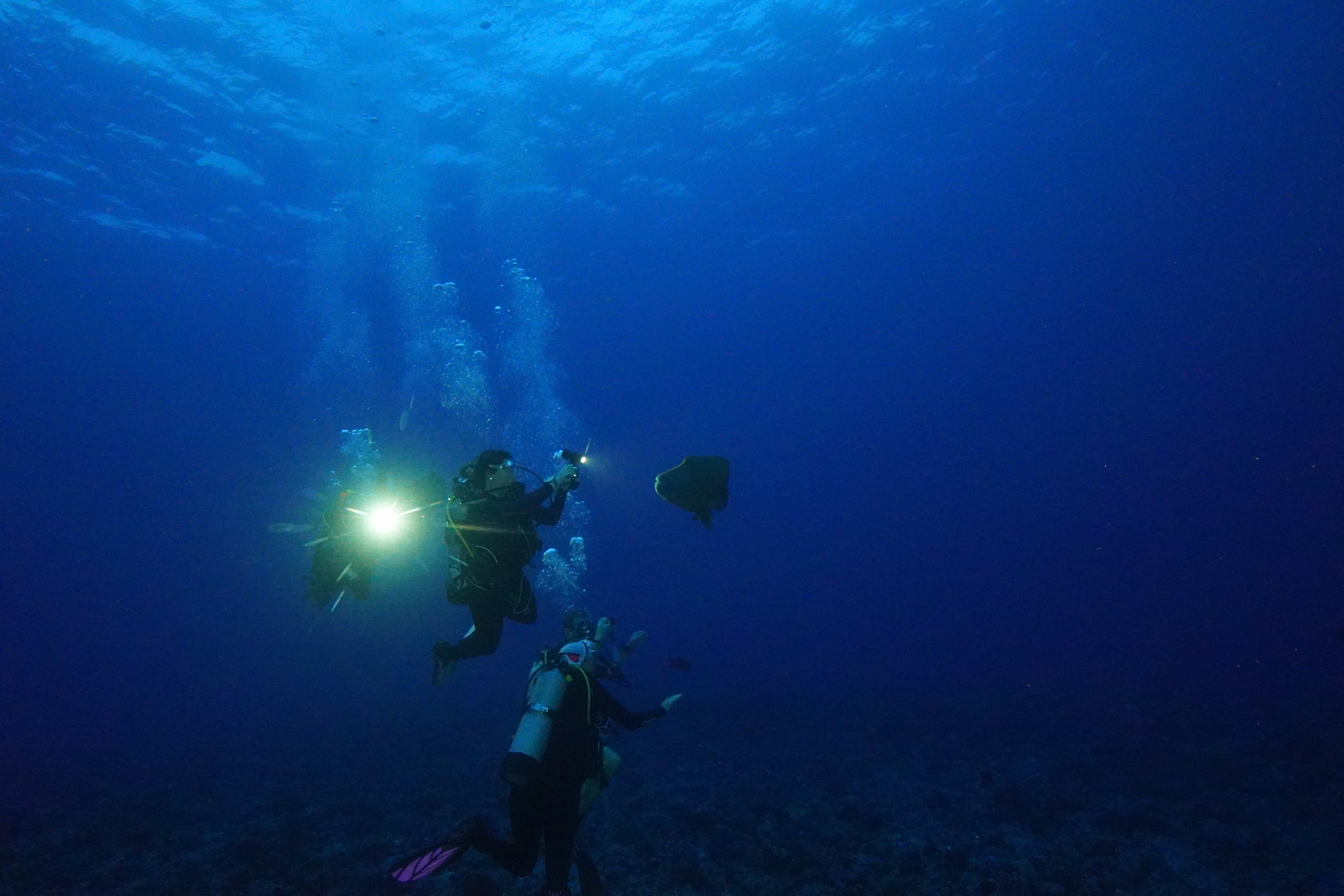 Palau Aggressor II | Adventure Logs