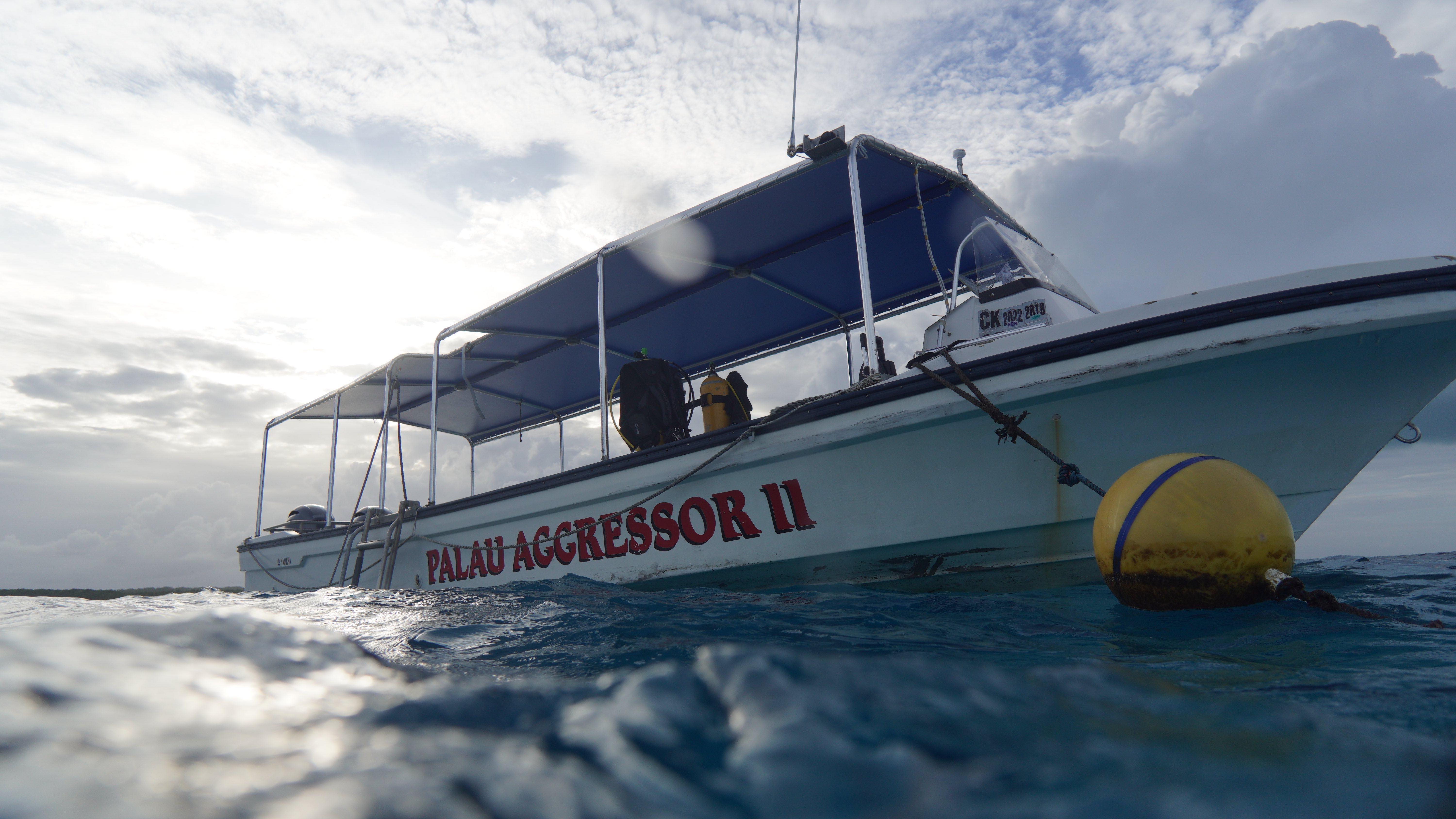 Palau Aggressor II | Adventure Logs