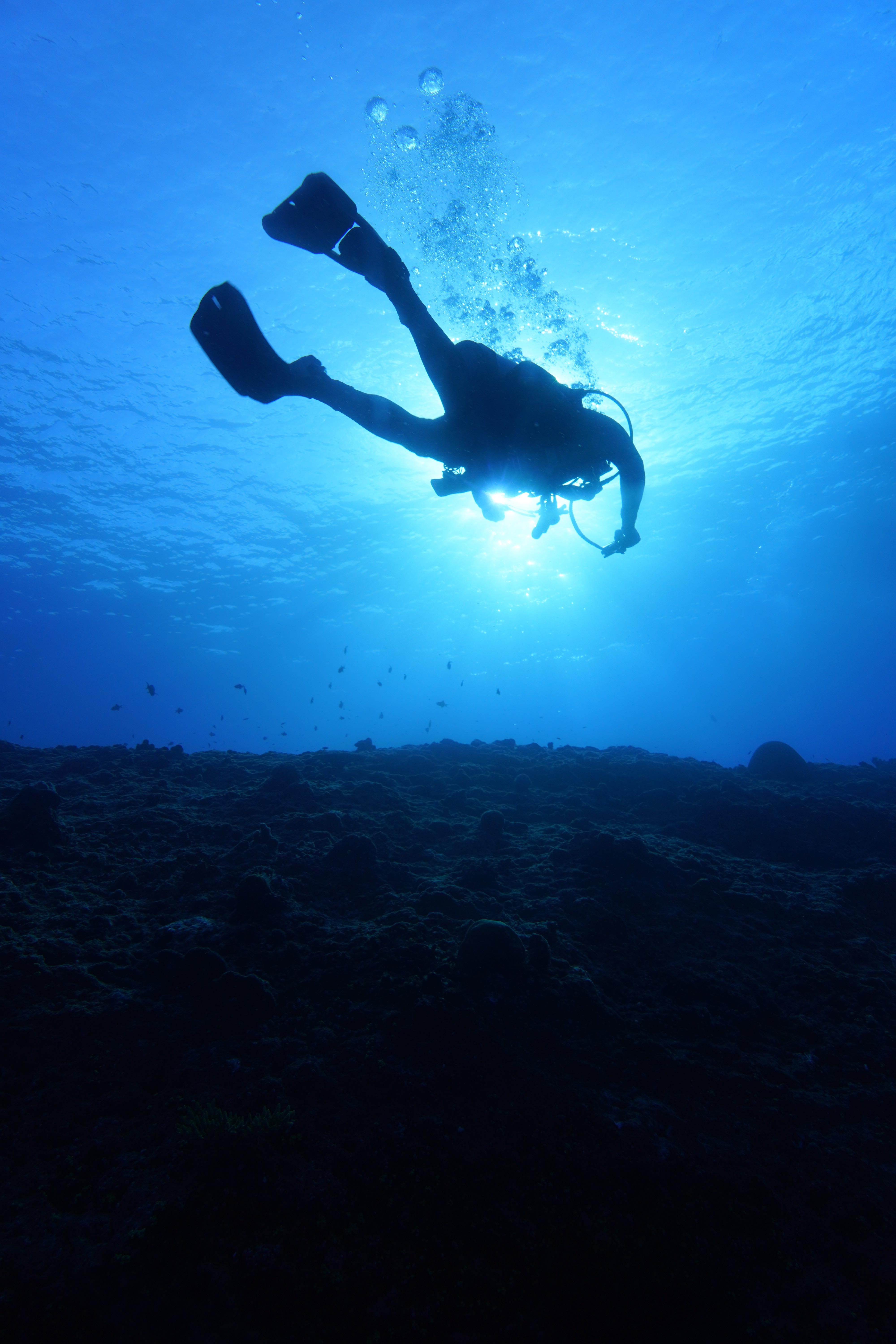 Palau Aggressor II | Adventure Logs