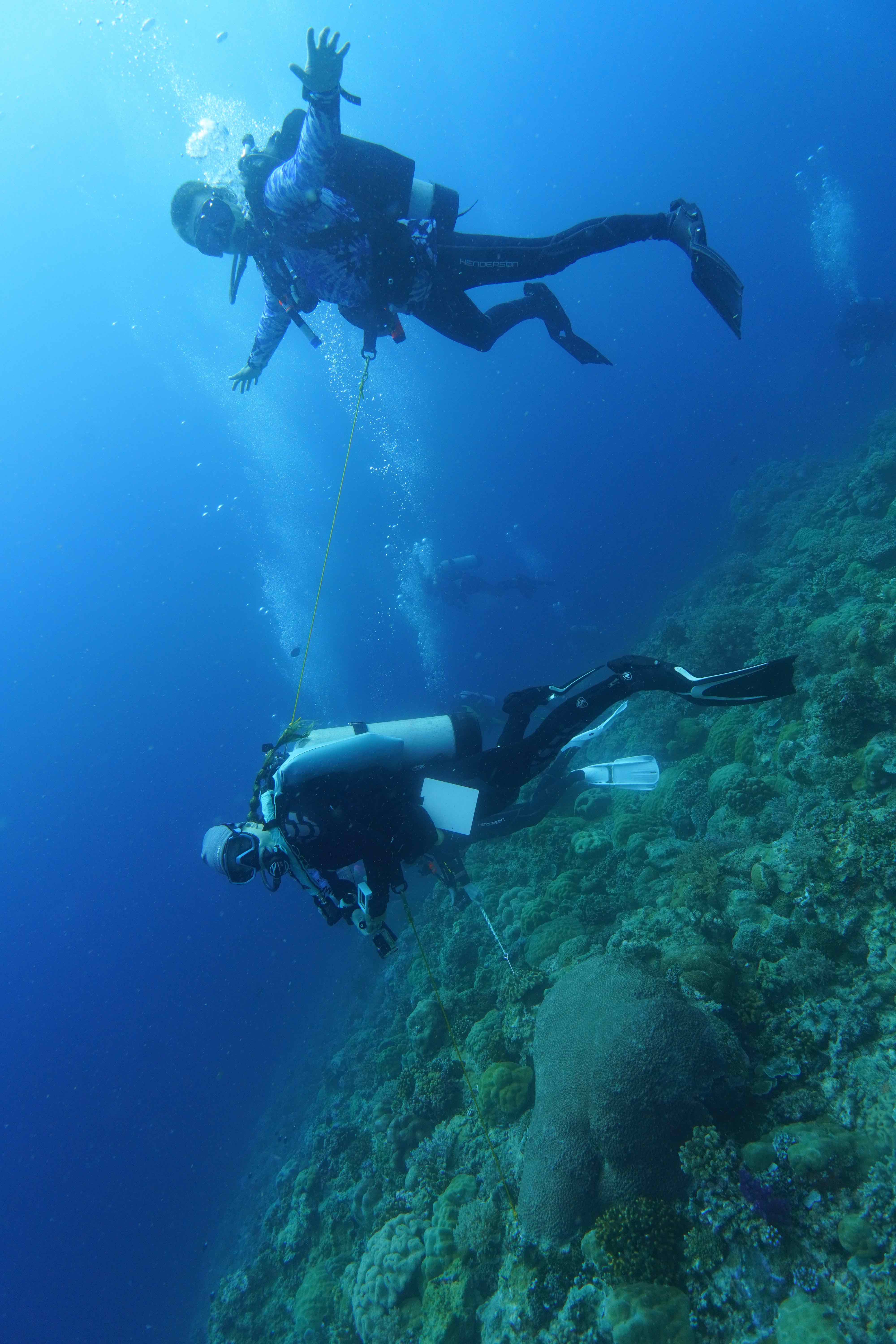 Palau Aggressor II | Adventure Logs