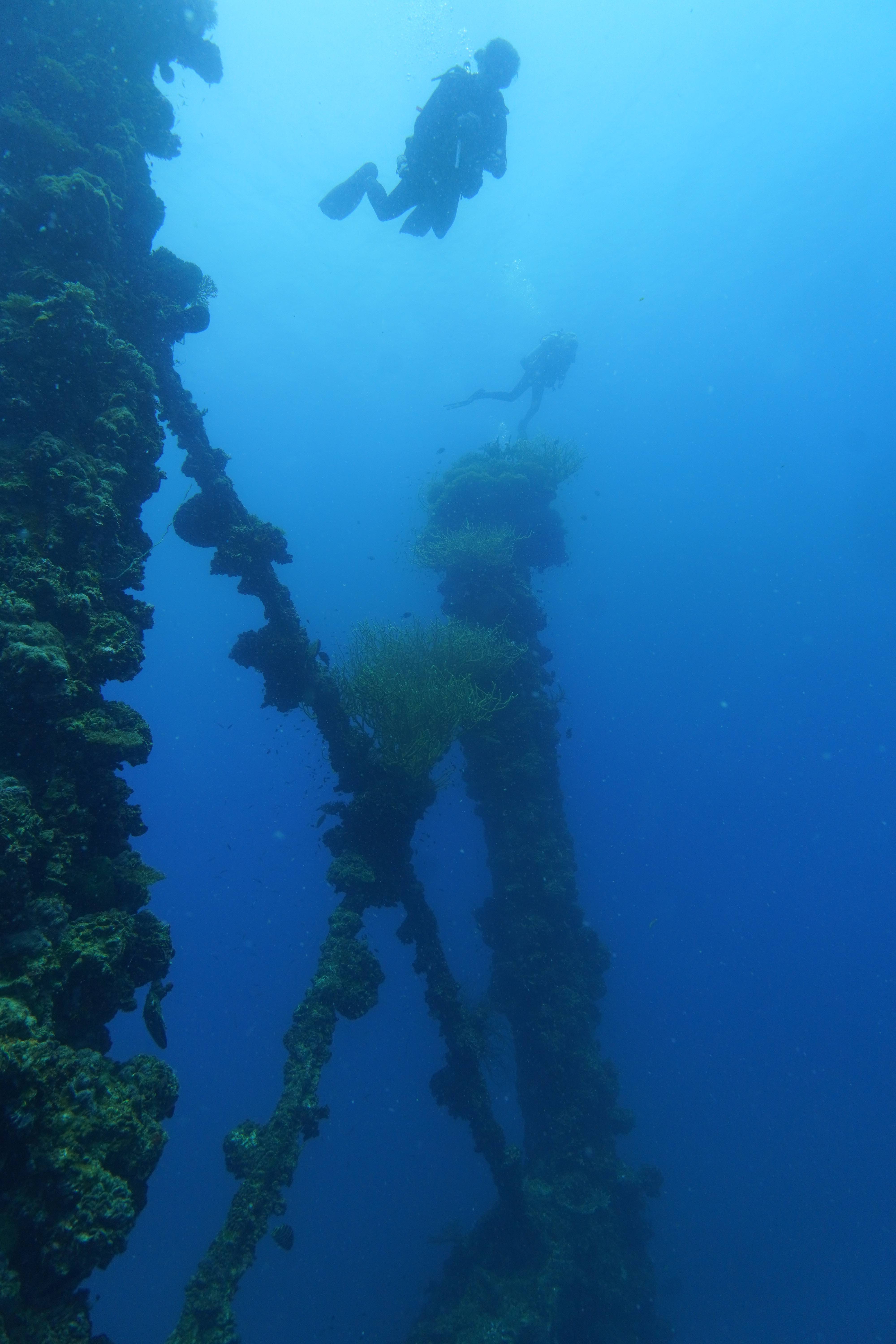 BVI Aggressor | Adventure Logs