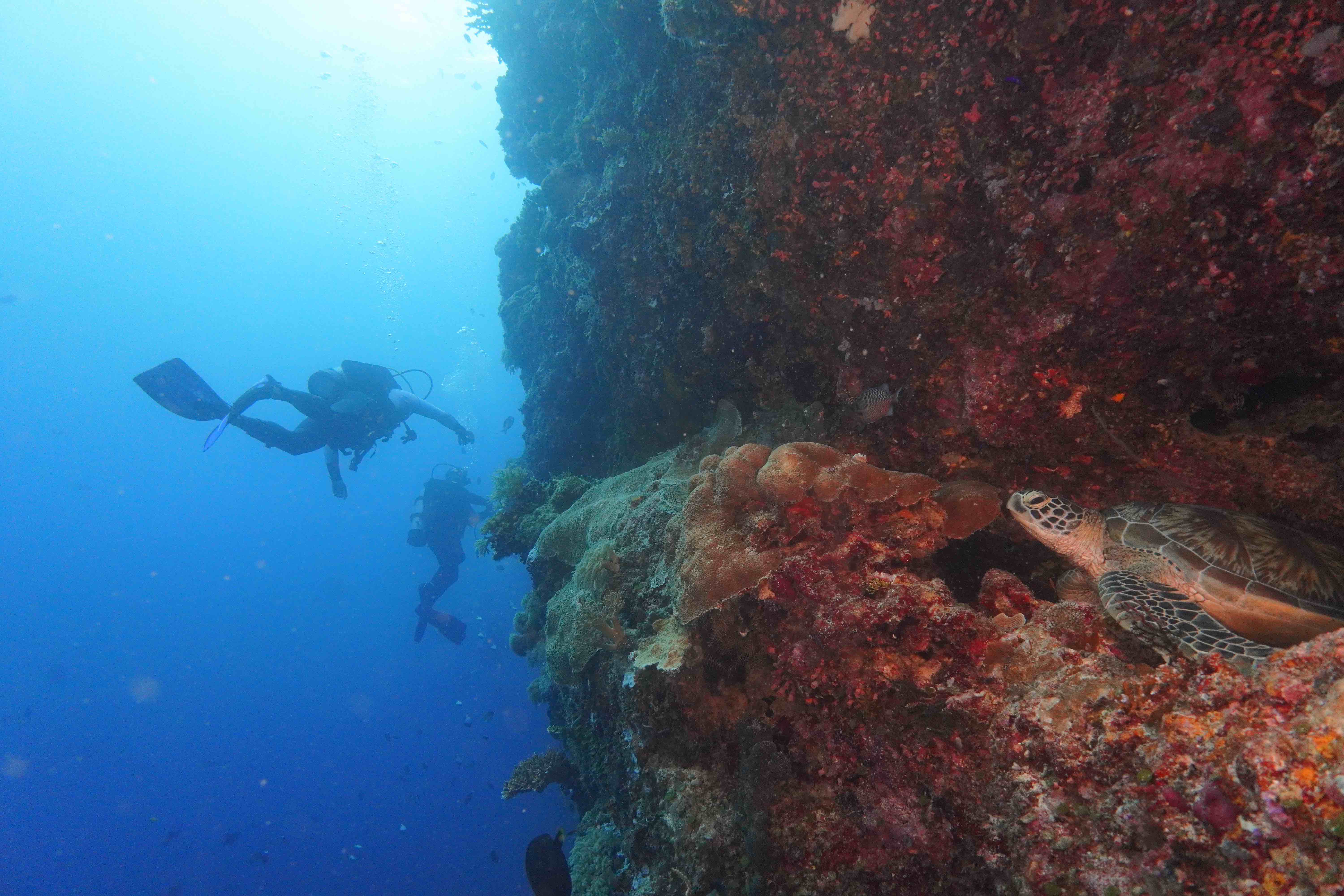 BVI Aggressor | Adventure Logs