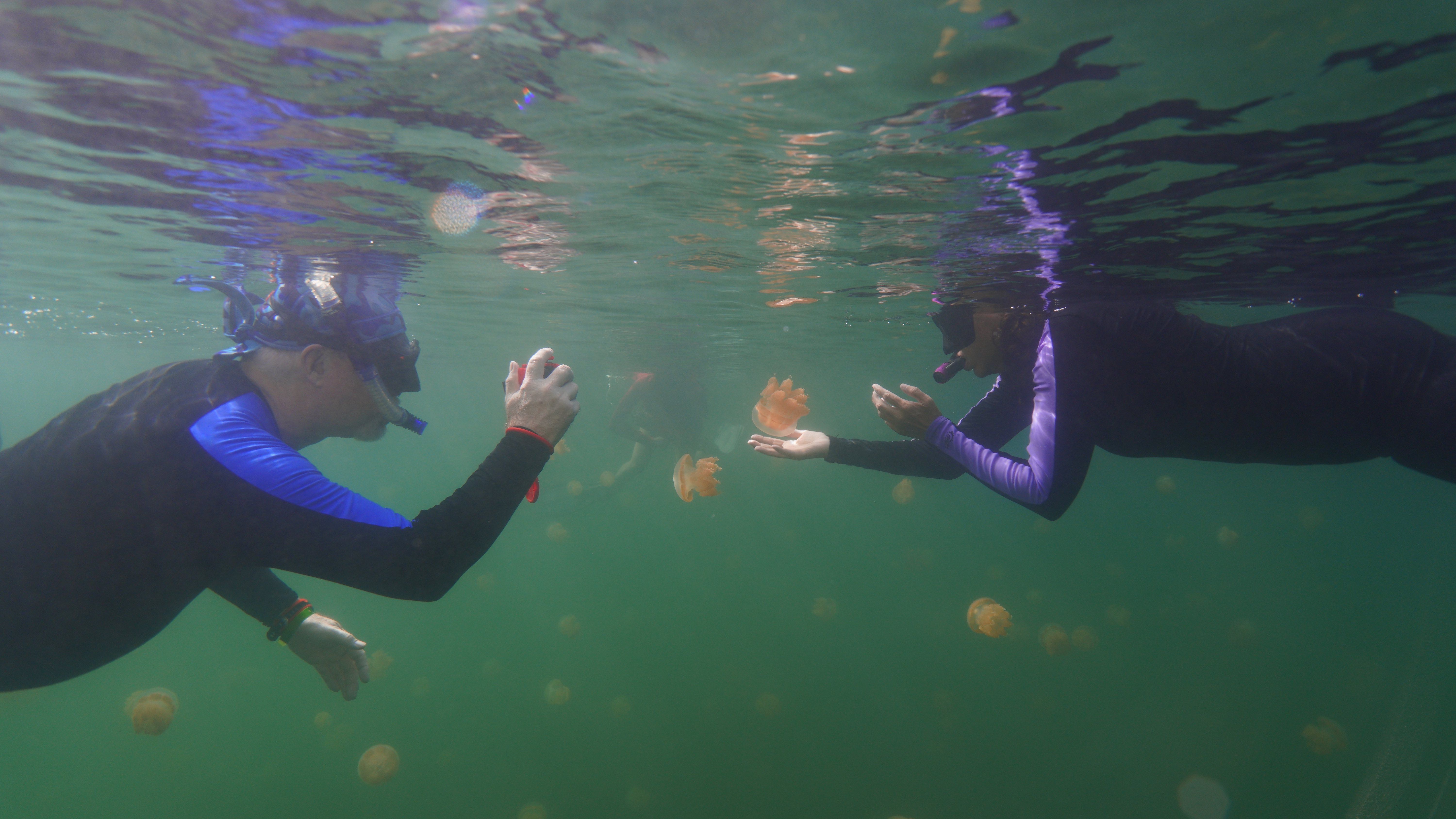 Palau Aggressor II | Adventure Logs