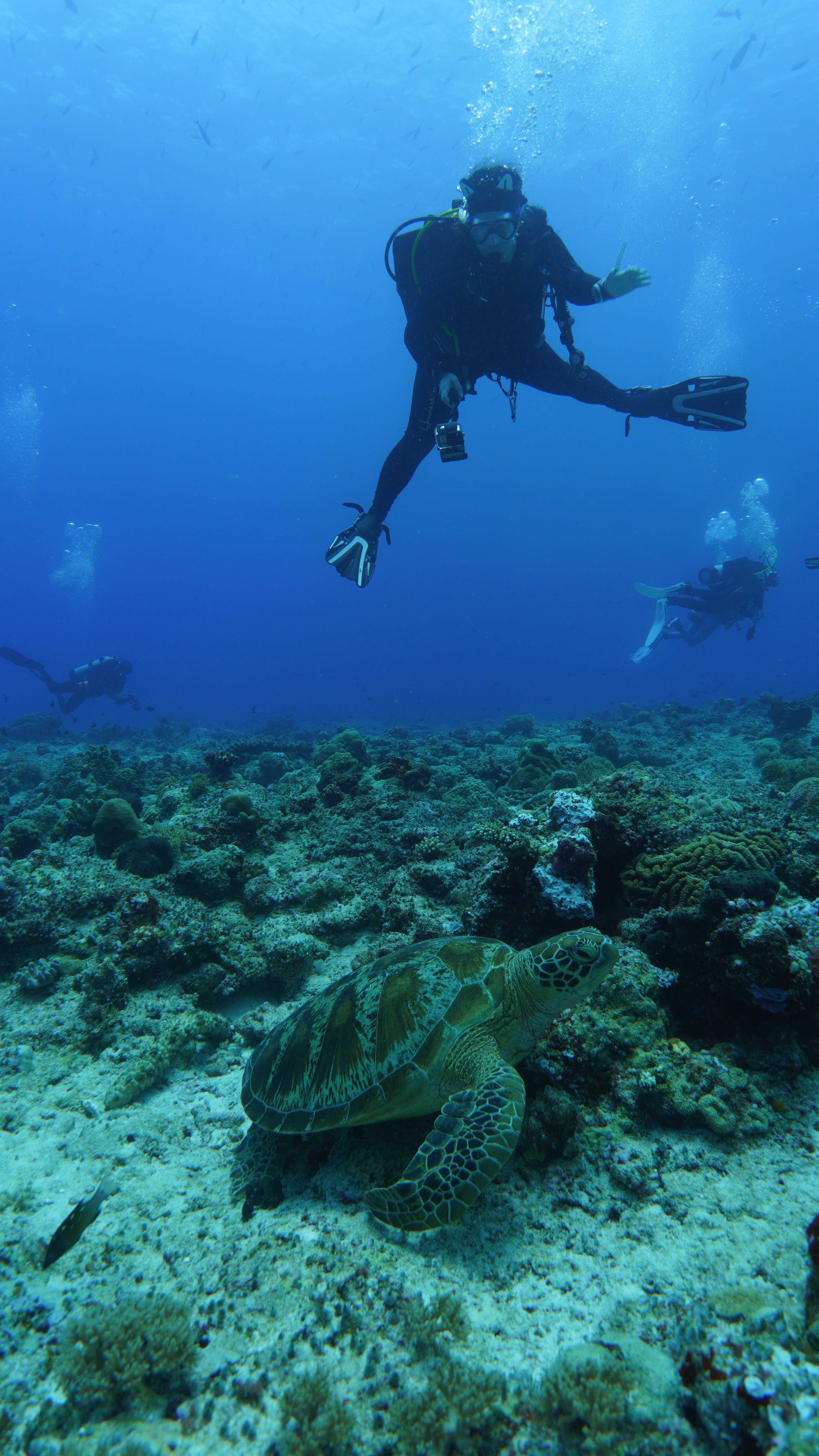 Palau Aggressor II | Adventure Logs