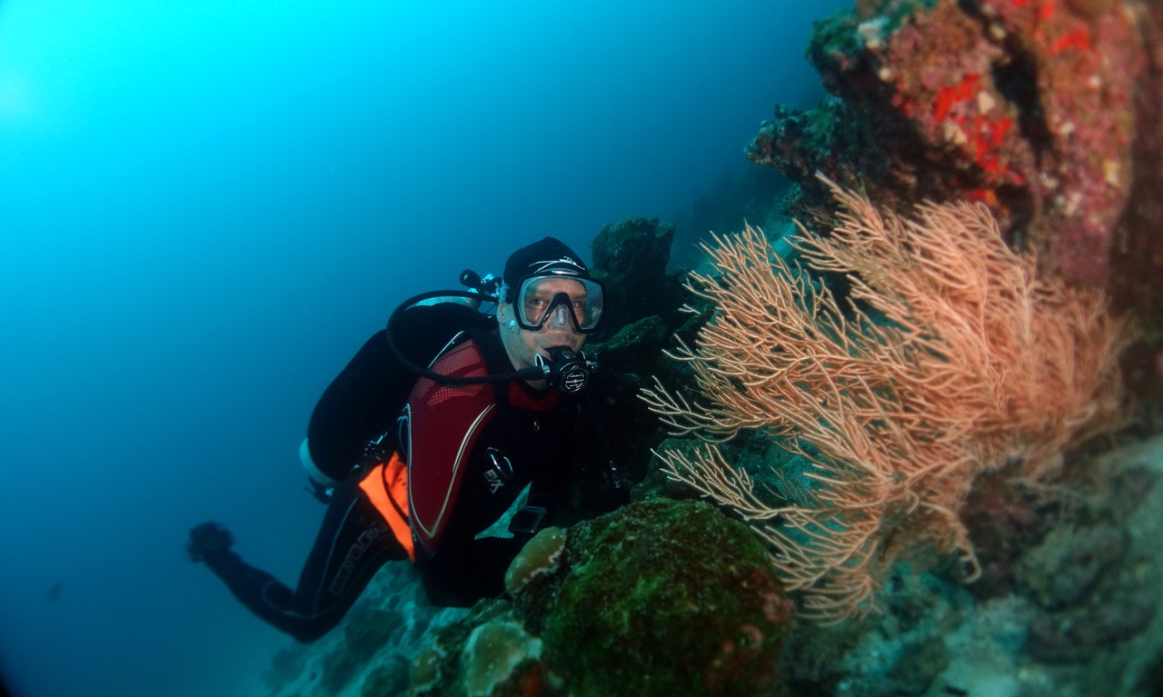 Okeanos Aggressor II | Adventure Logs