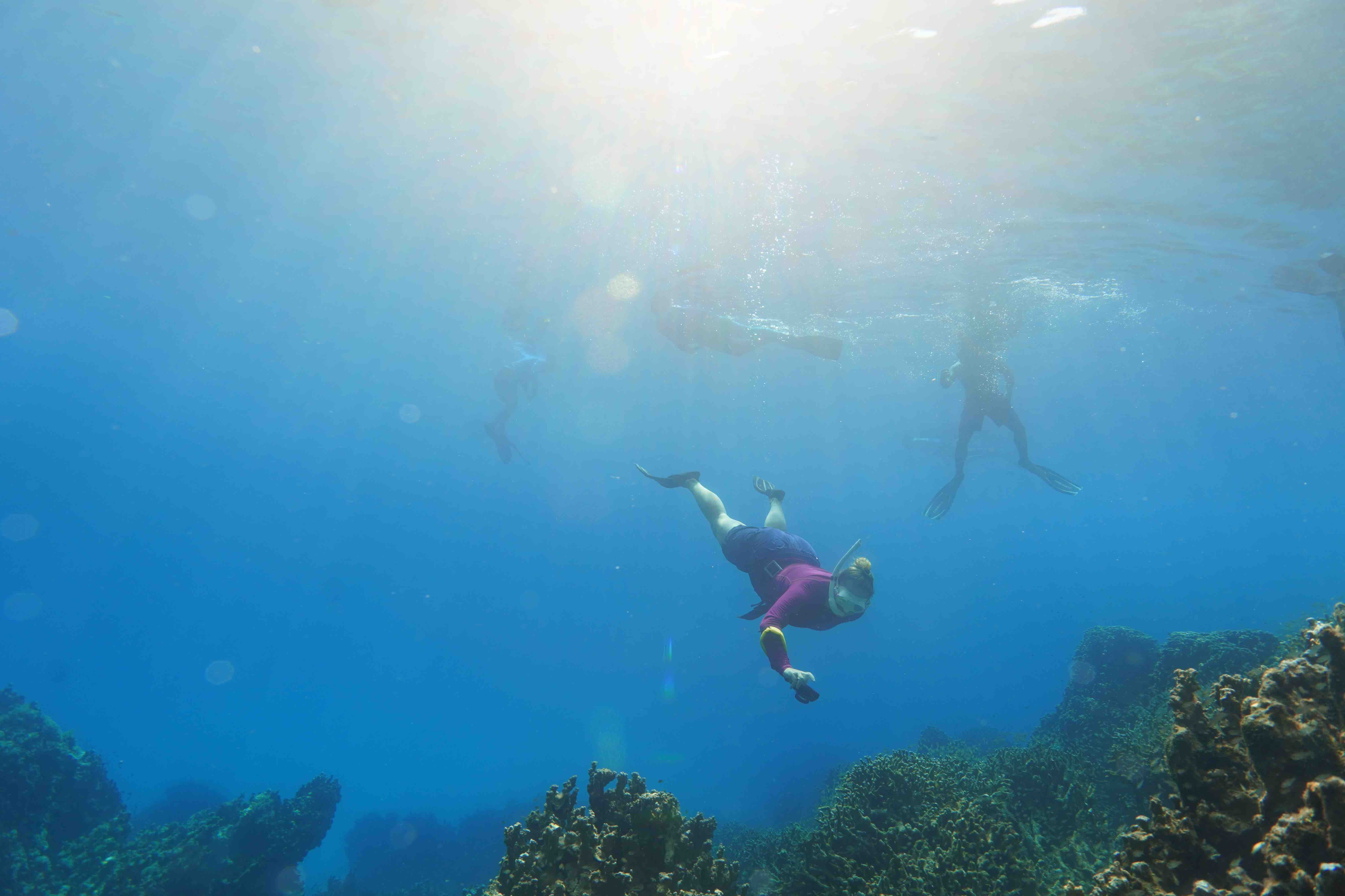 Palau Aggressor II | Adventure Logs